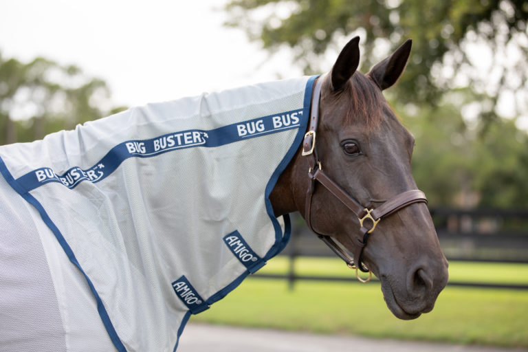 Horseware Ireland Amigo Bug Buster Fly Sheet – Sparkles and Sunshine Blog