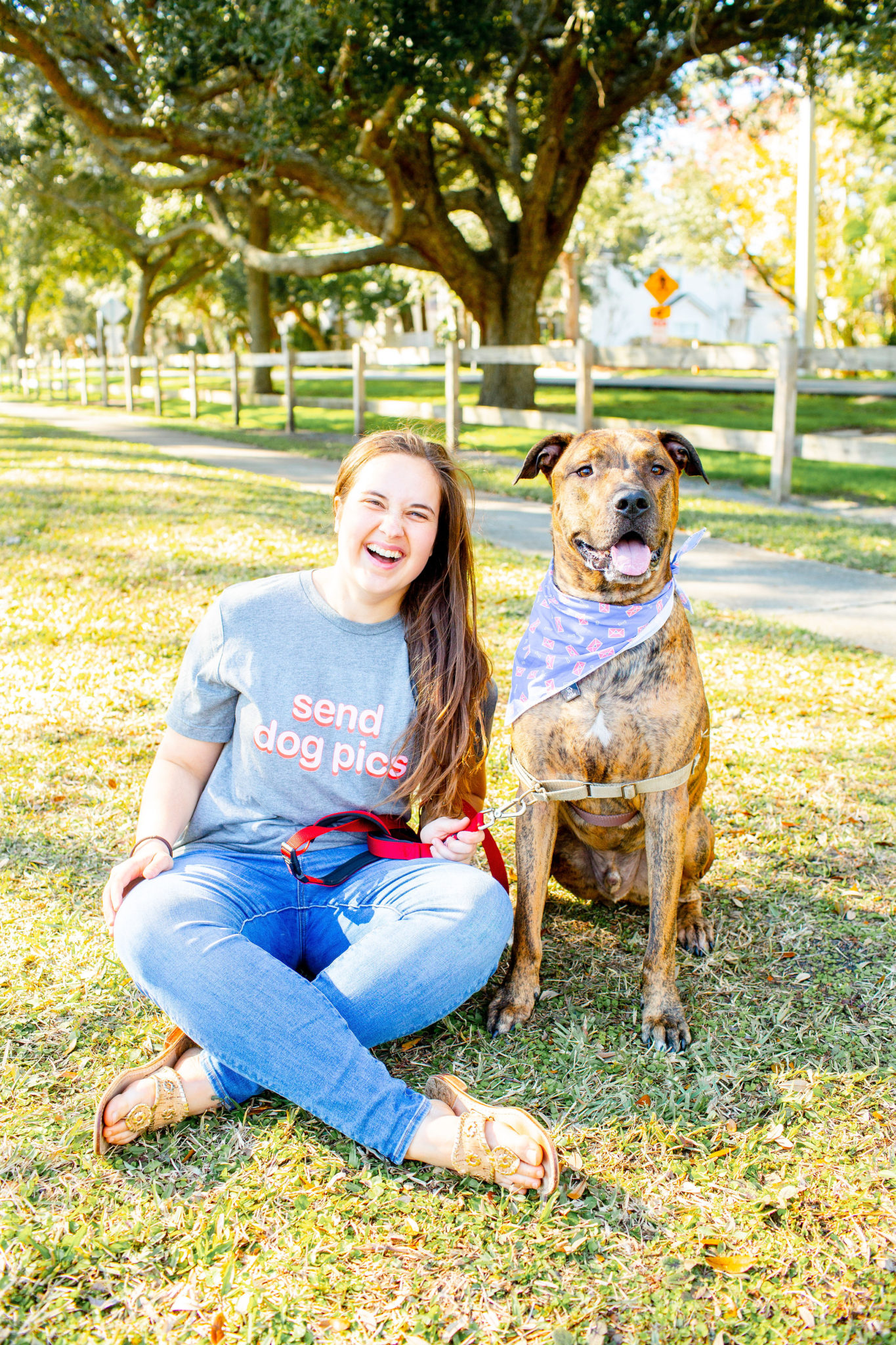 10 Ways To Entertain Your Dog While Working From Home – Sparkles and ...