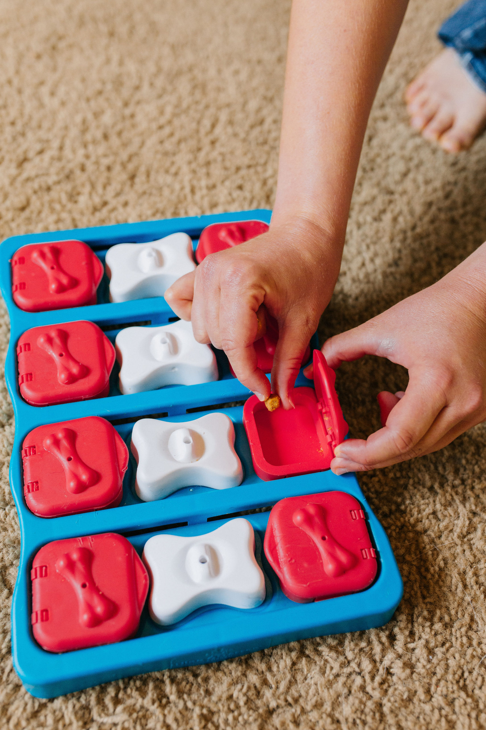Nina Ottosson Dog Puzzles Level 2 Intermediate Dog Treat Puzzles nina-ottosson-dog-puzzles-level-2-intermediate-dog-treat-puzzles