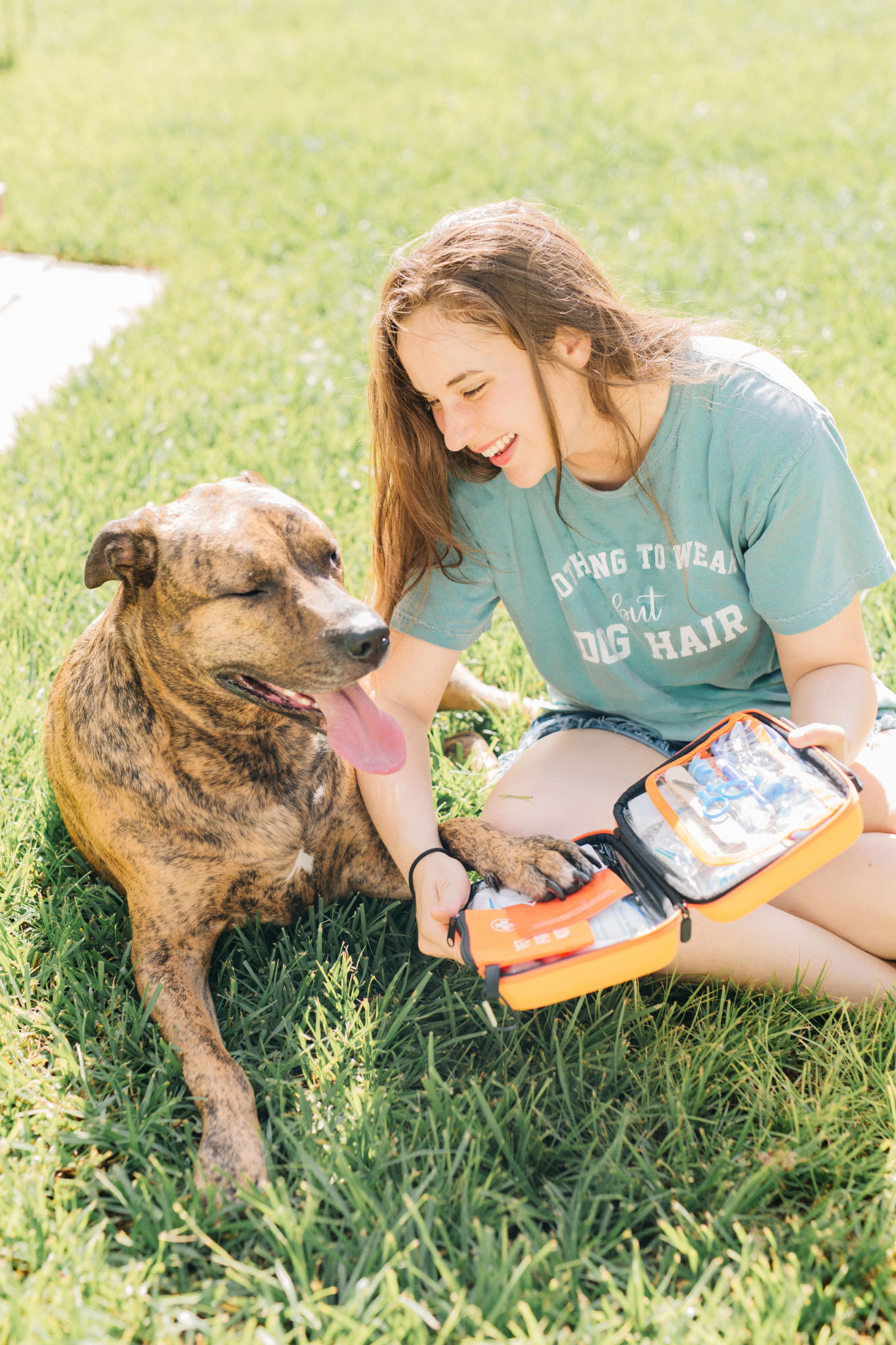 Pet Disaster Preparedness: 8 Items You Must Have – Sparkles and ...