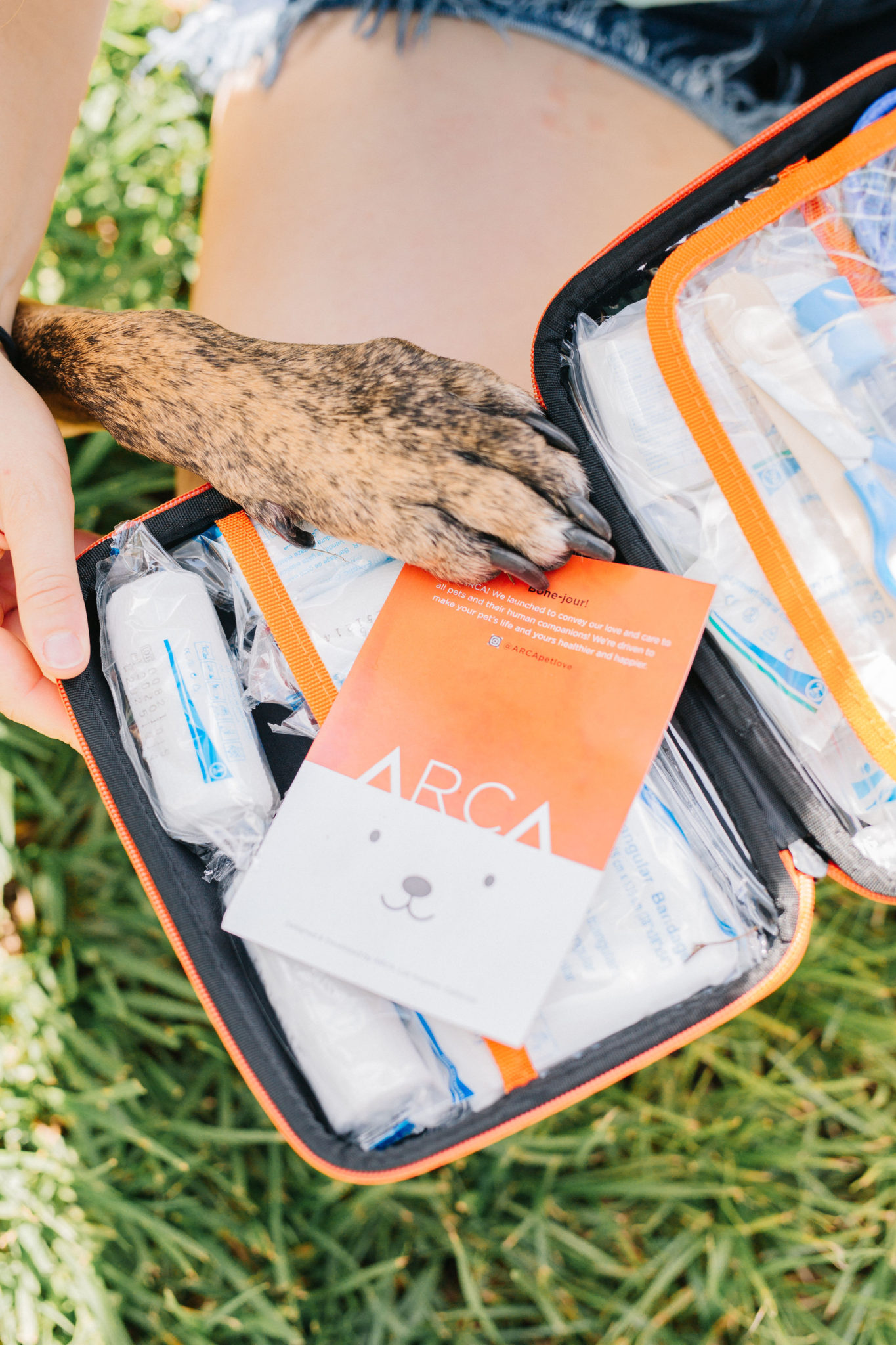 ARCA Pet: Pet First Aid Kit – Sparkles and Sunshine Blog