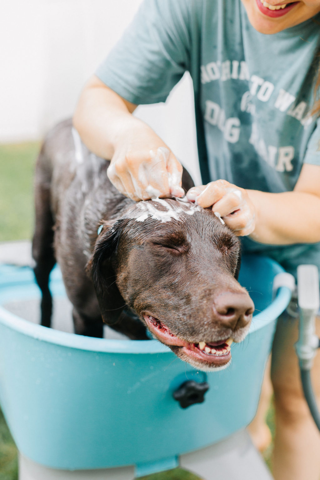 Booster Bath For Dogs: Outdoor Dog Wash Station