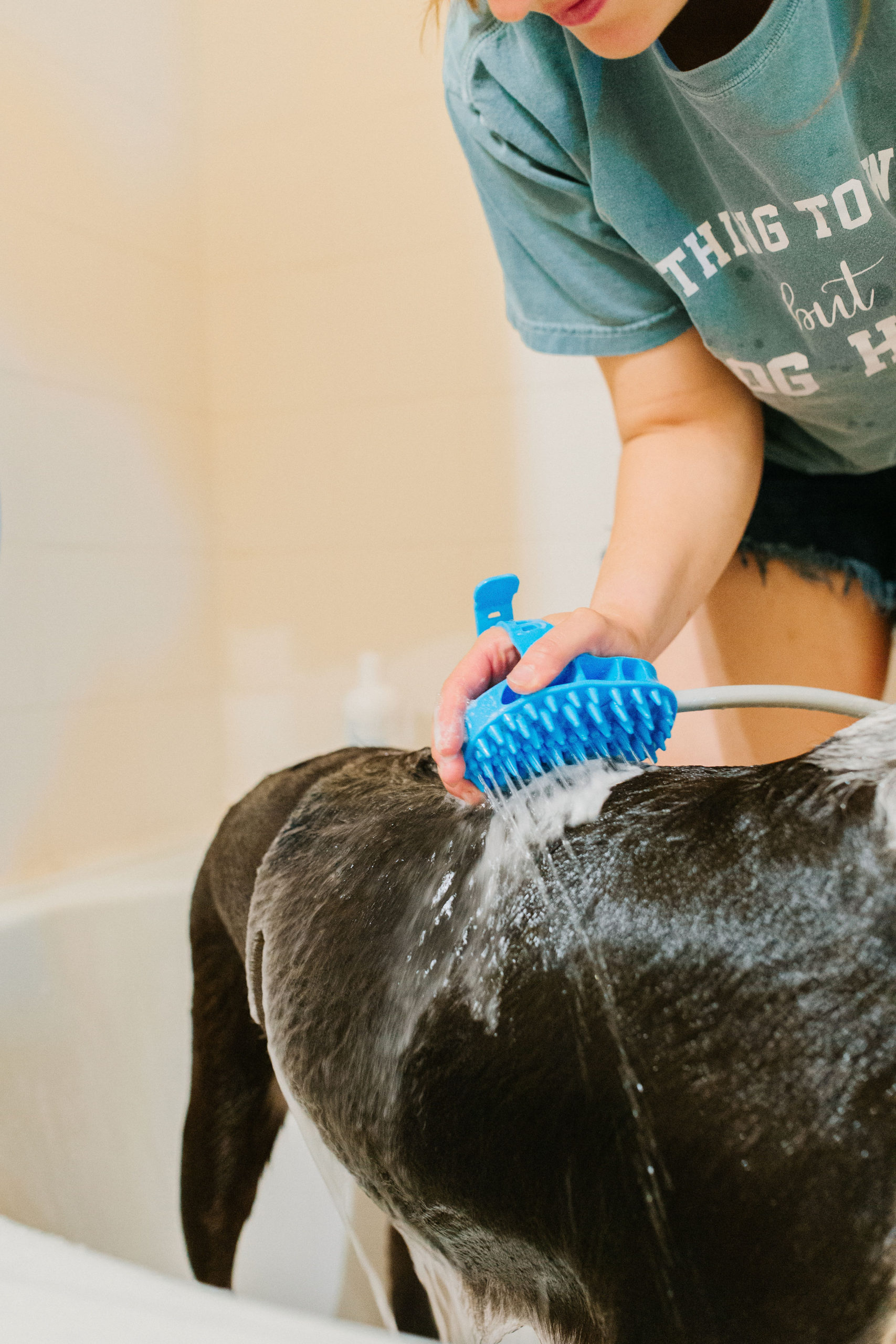 Aquapaw Pet Bathing Tool Review – Sparkles and Sunshine Blog