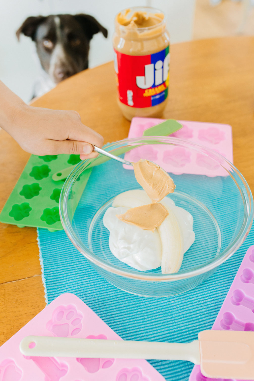 Peanut Butter, Yogurt & Banana Homemade Dog Popsicle Recipe – Sparkles ...