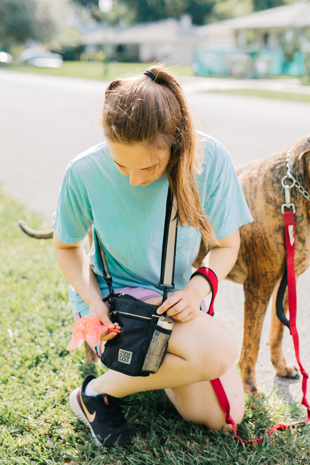 The Ultimate Dog Walking Bag From Mobile Dog Gear – Sparkles and ...