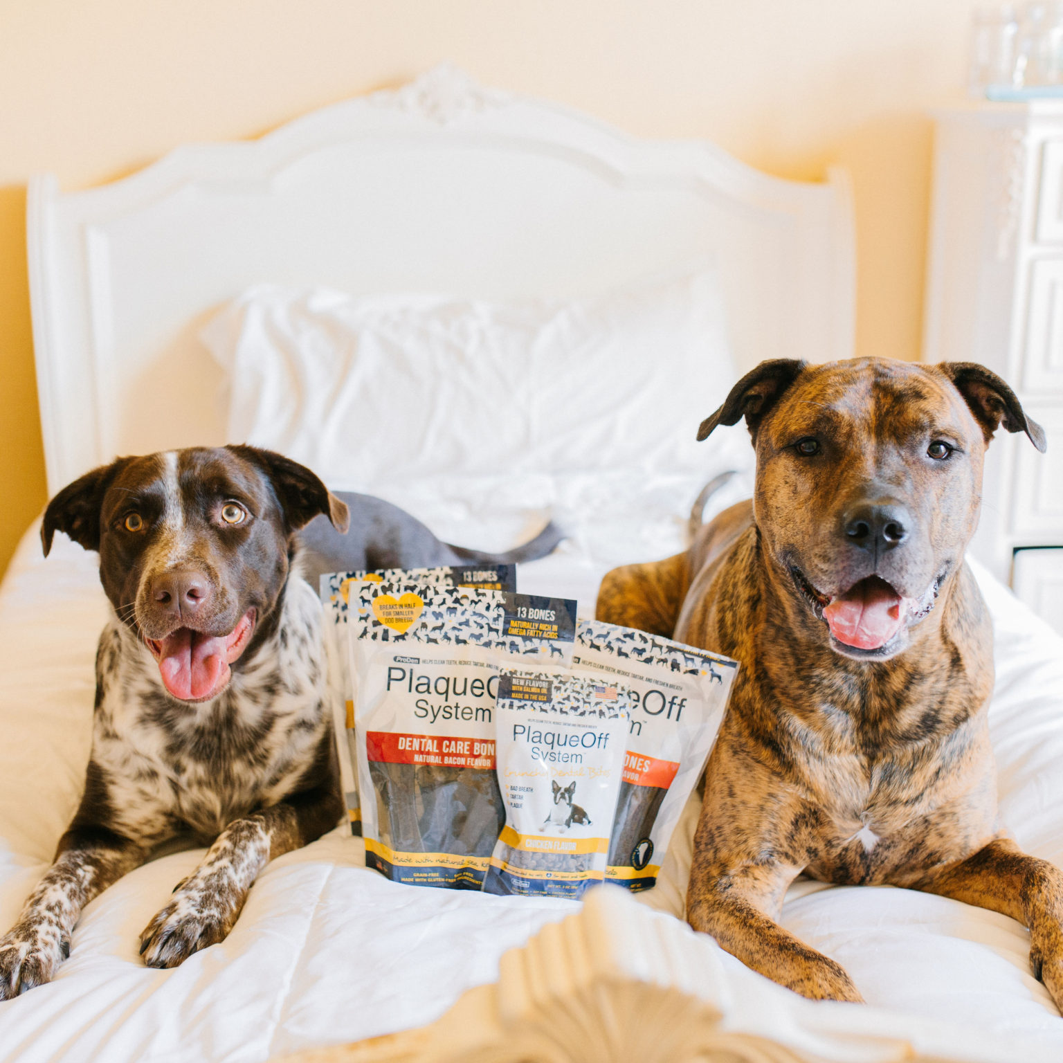 Dental Treats For Dogs By ProDen PlaqueOff System™