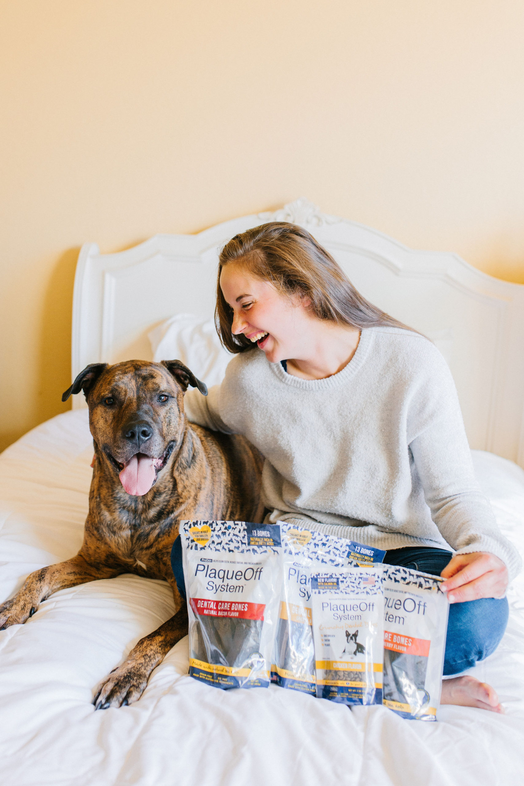 Dental Treats For Dogs By ProDen PlaqueOff System™