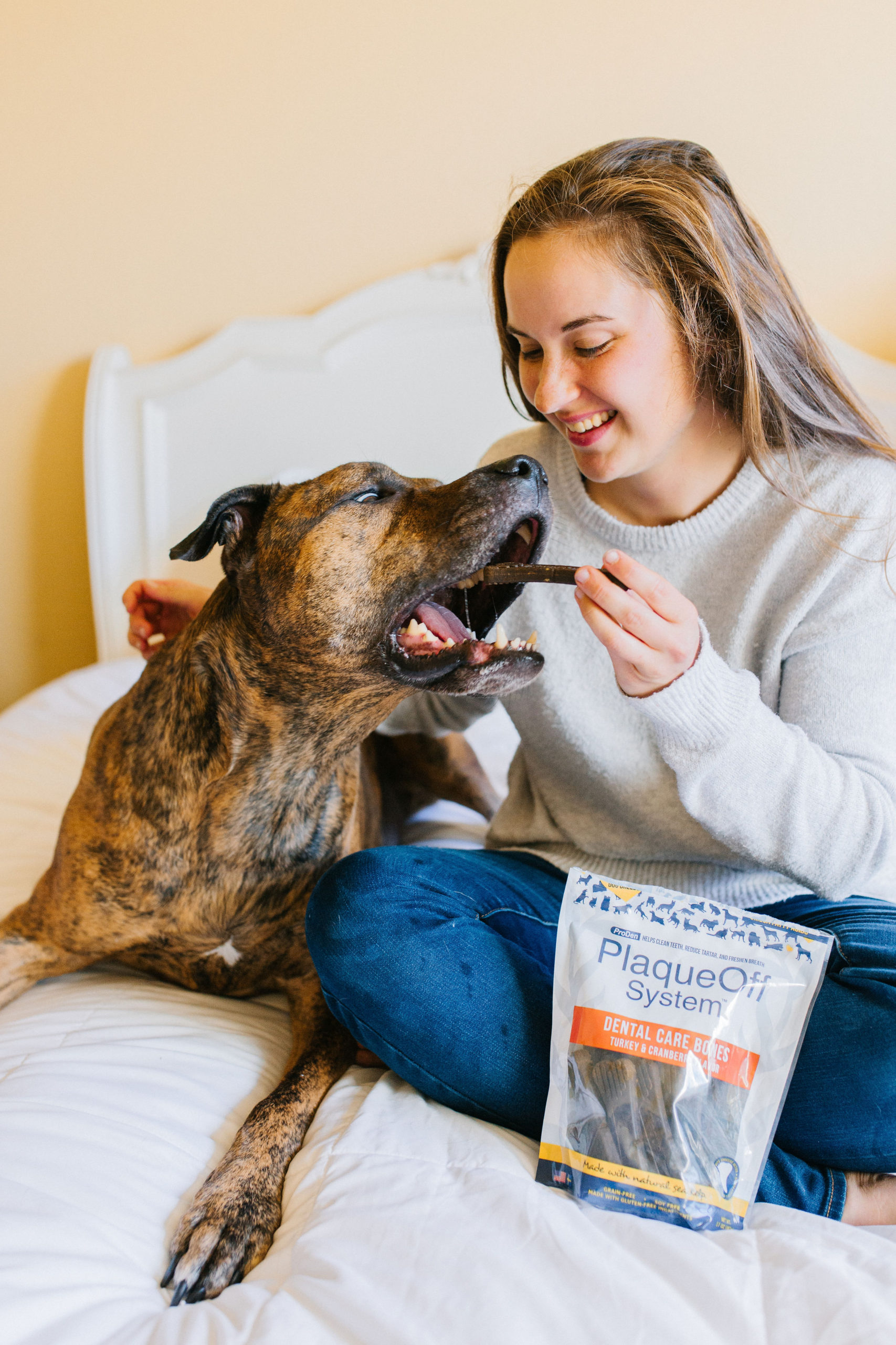 Dental Treats For Dogs By ProDen PlaqueOff System™
