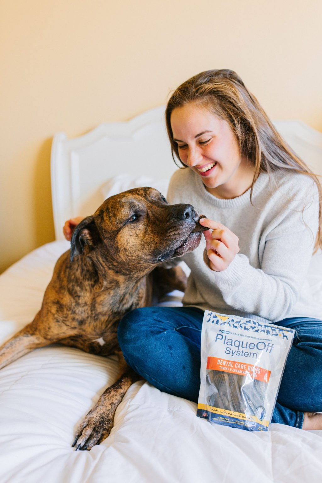 Dental Treats For Dogs By ProDen PlaqueOff System™