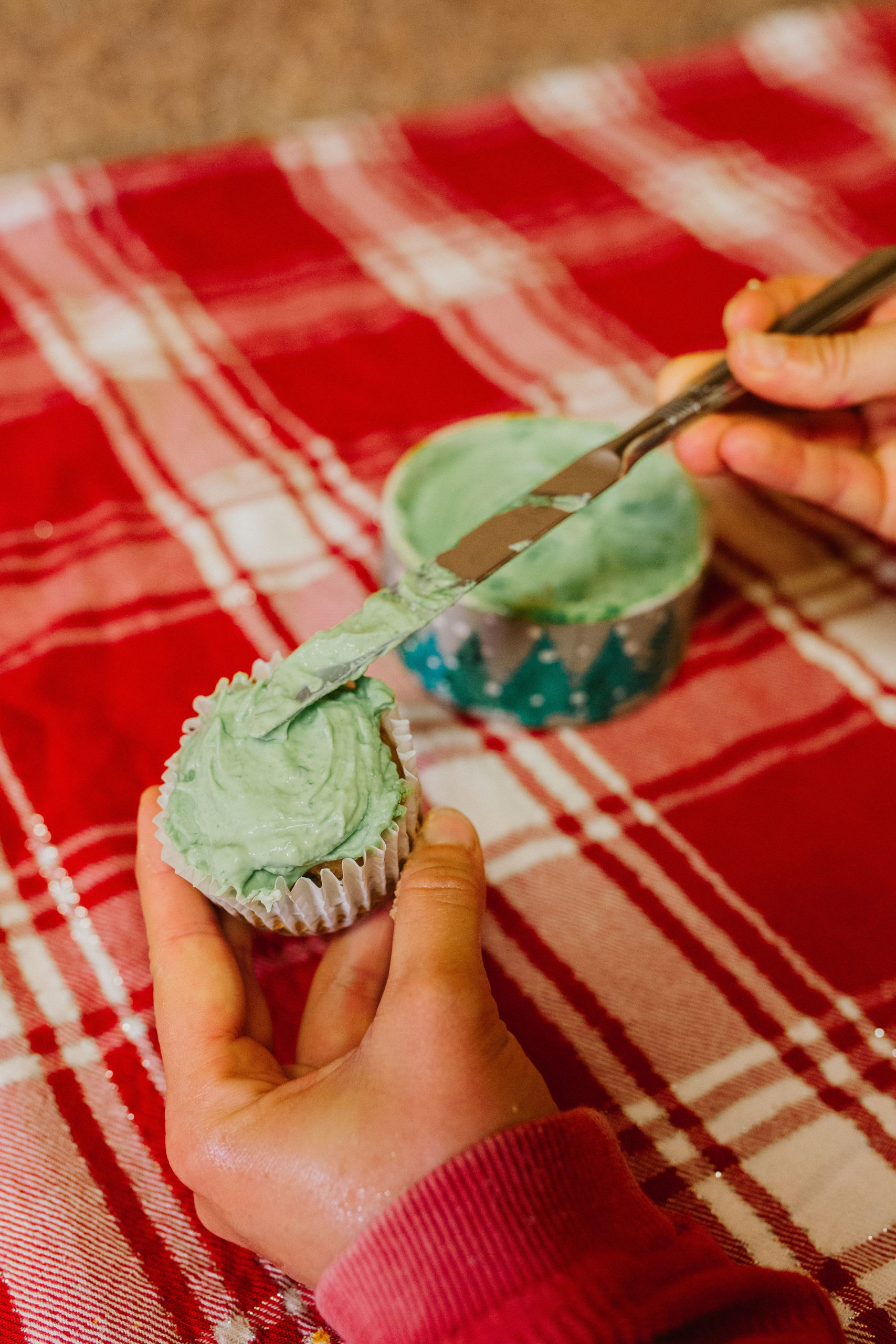 Dog Friendly Cupcake Christmas Wreath Recipe With Dog Safe Icing ...