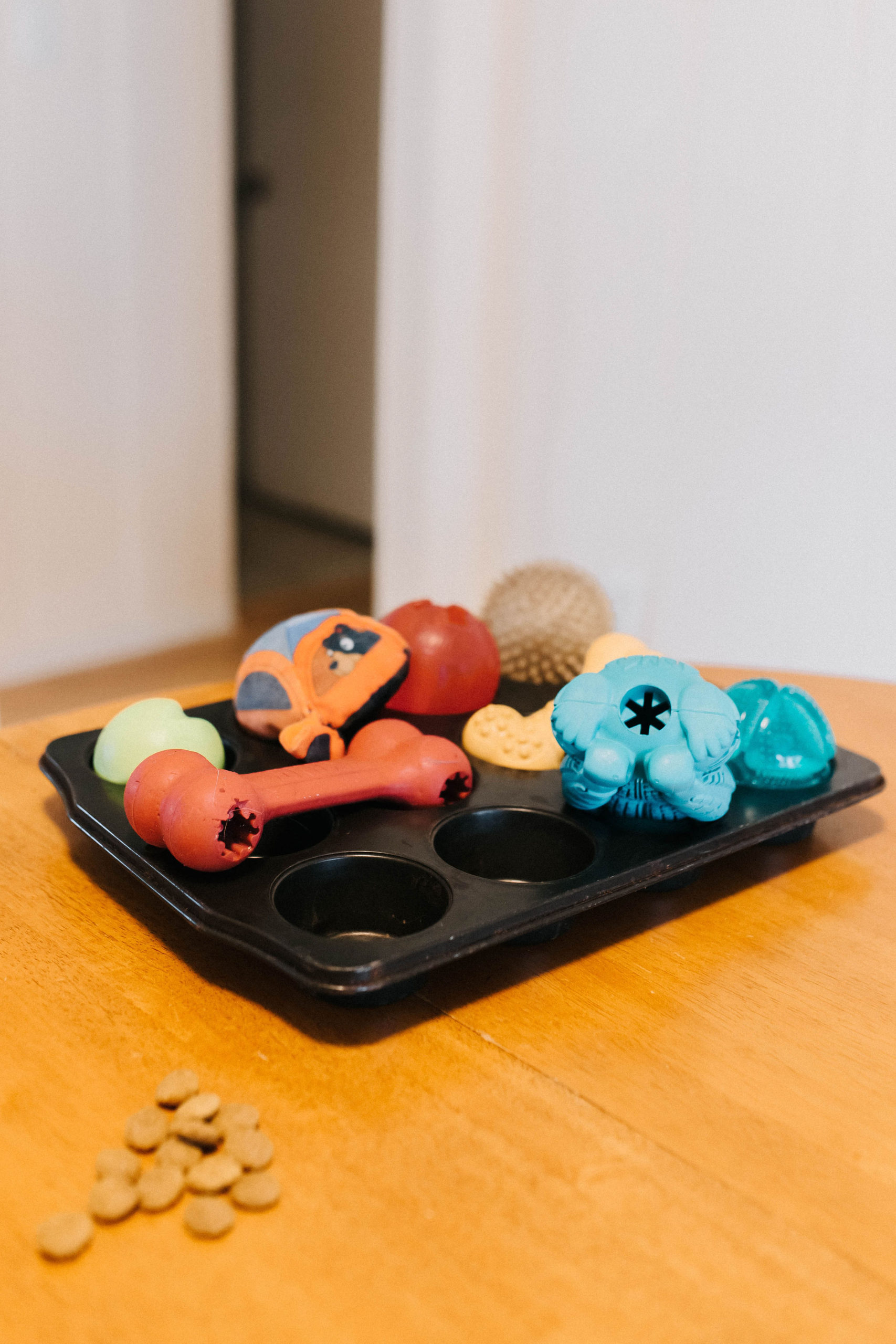 3 DIY Dog Enrichment Ideas To Combat Dog Cabin Fever