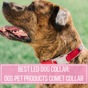 Sparkles and Sunshine Blog