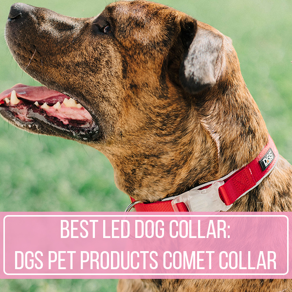 Sparkles and Sunshine Blog