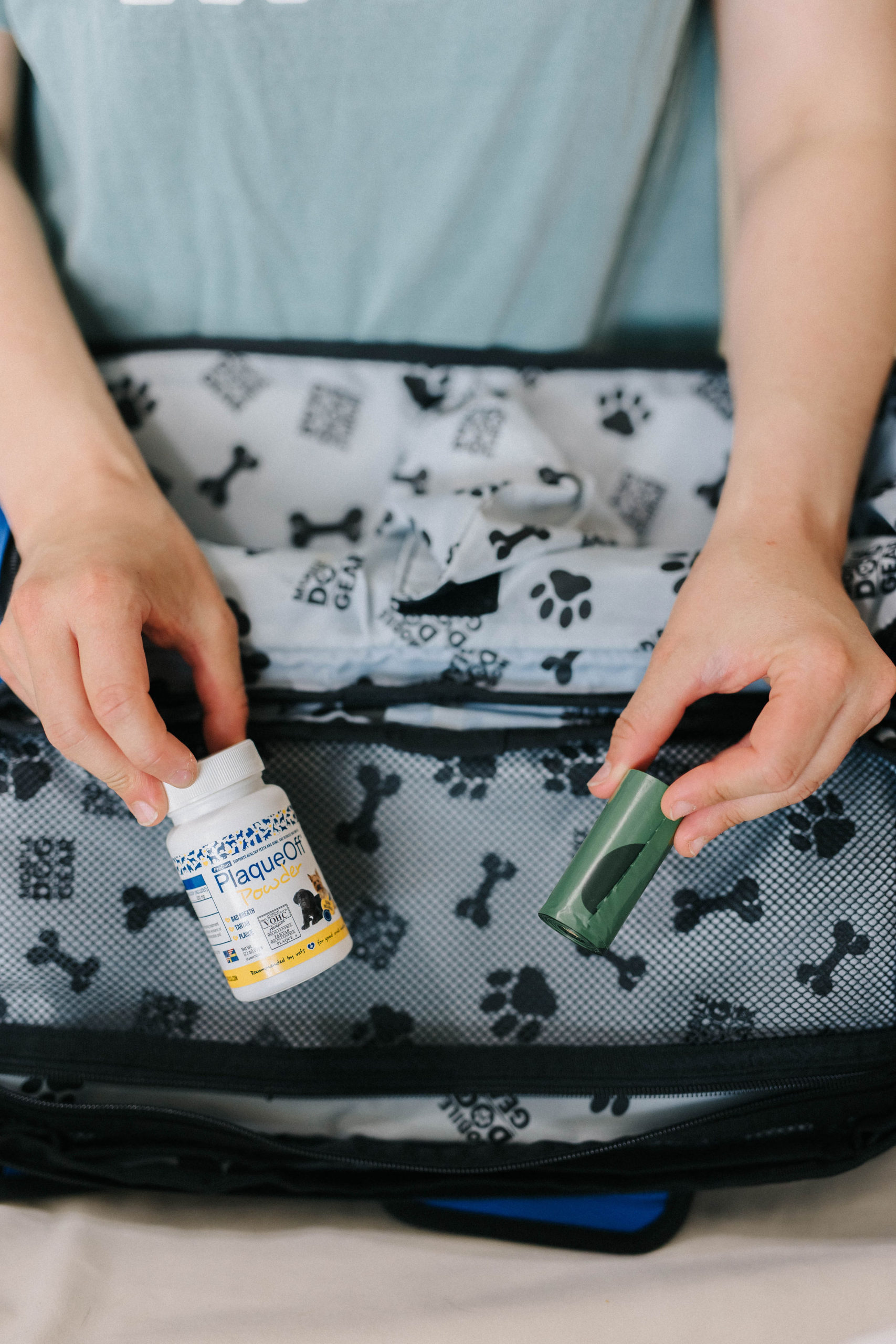 Dog Packing List: What To Pack For An Overnight Stay With Your Dog