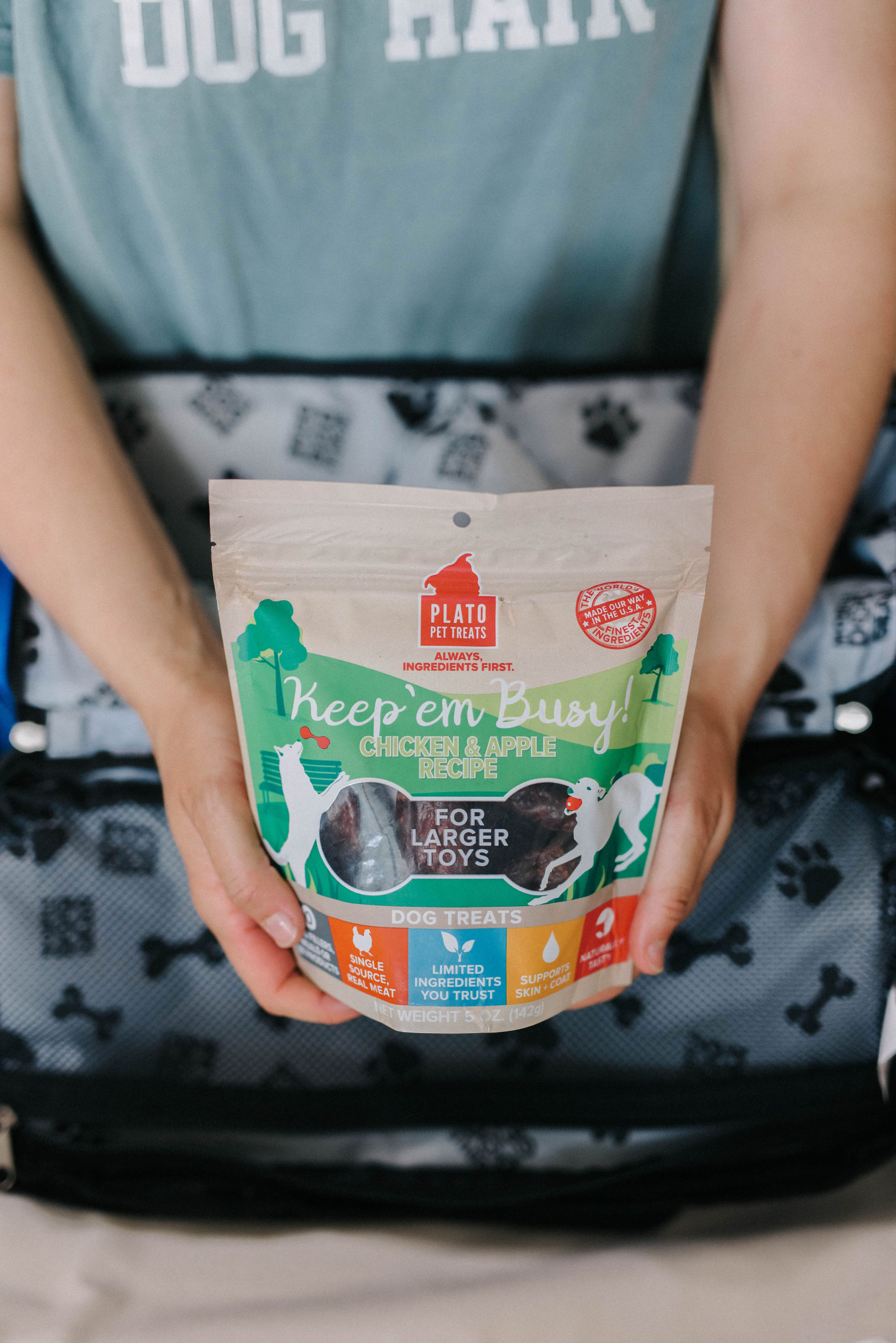 Dog Packing List: What To Pack For An Overnight Stay With Your Dog