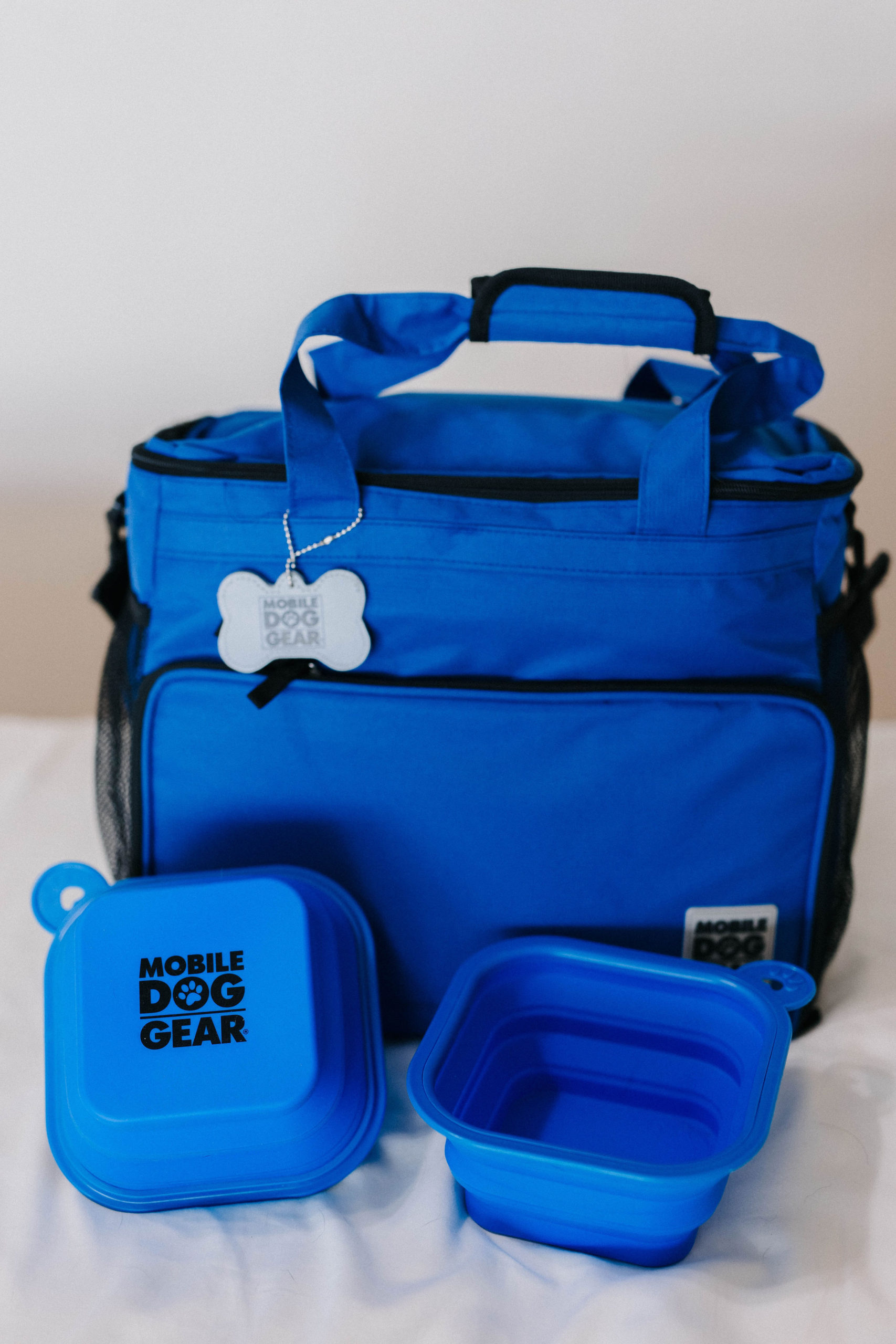 Dog Packing List: What To Pack For An Overnight Stay With Your Dog