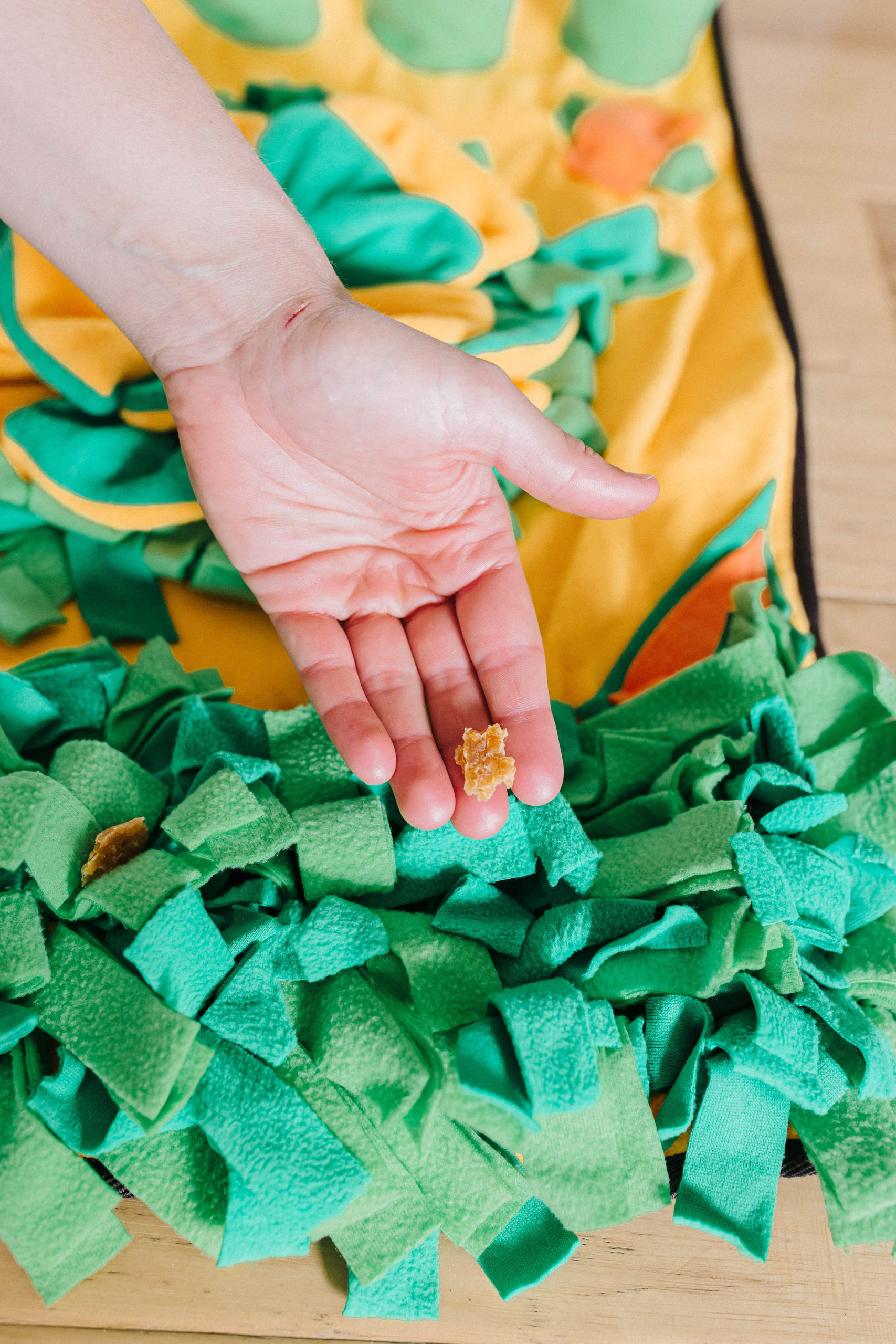 3 Snuffle Toys For Dogs