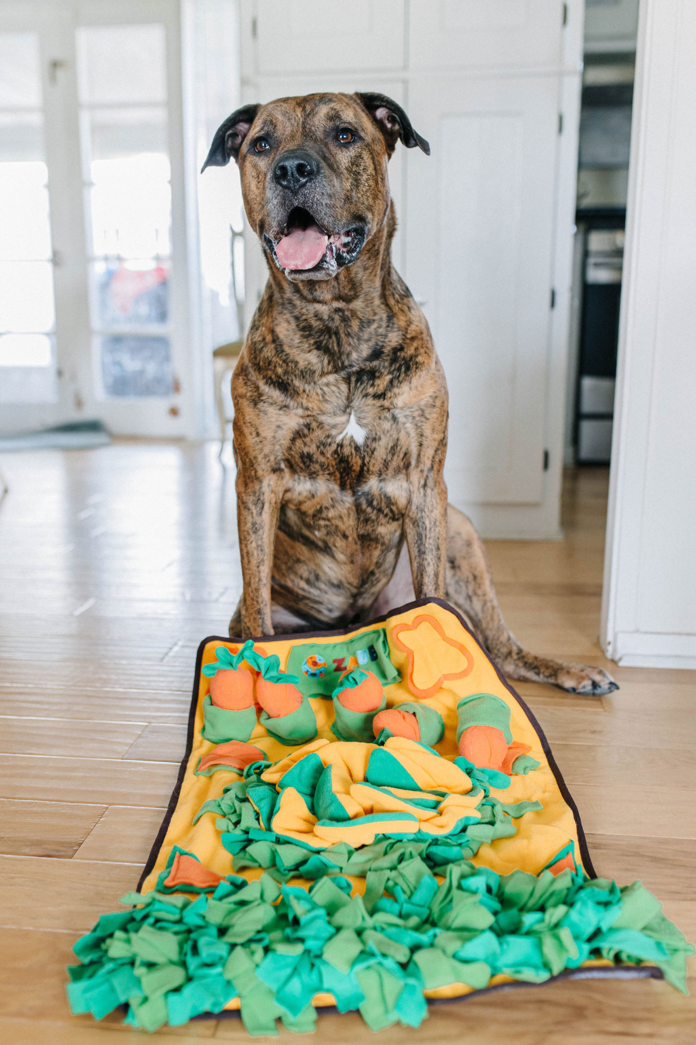 3 Snuffle Toys For Dogs