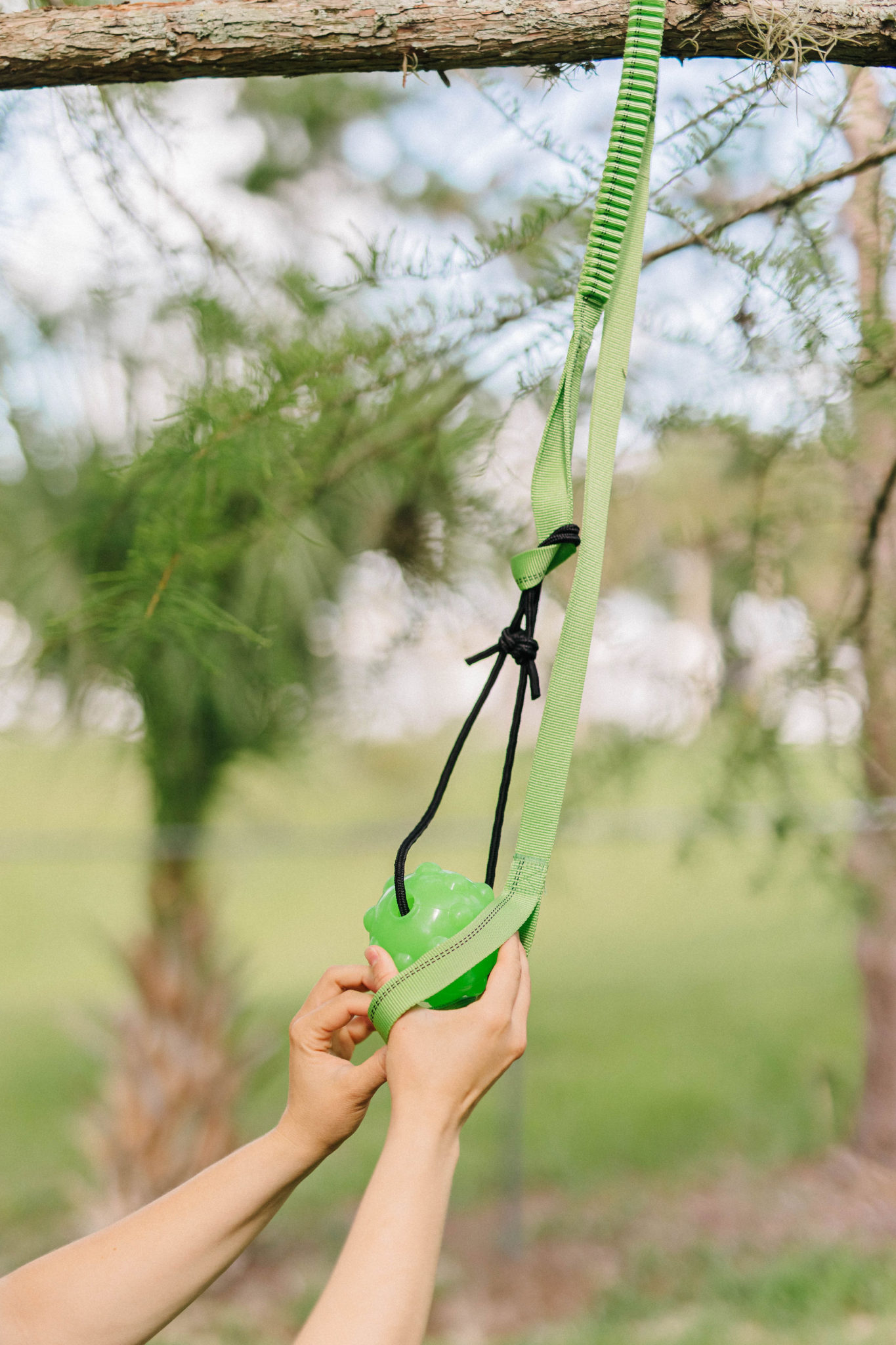Jolly Pets Tree Tugger Outdoor Dog Toy Review