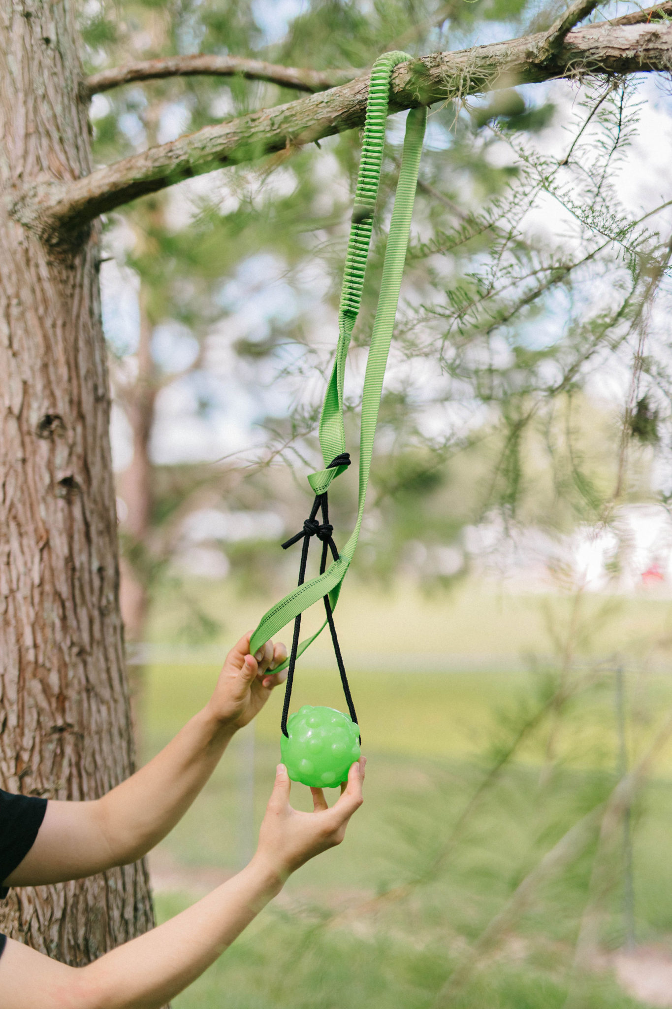 Jolly Pets Tree Tugger Outdoor Dog Toy Review