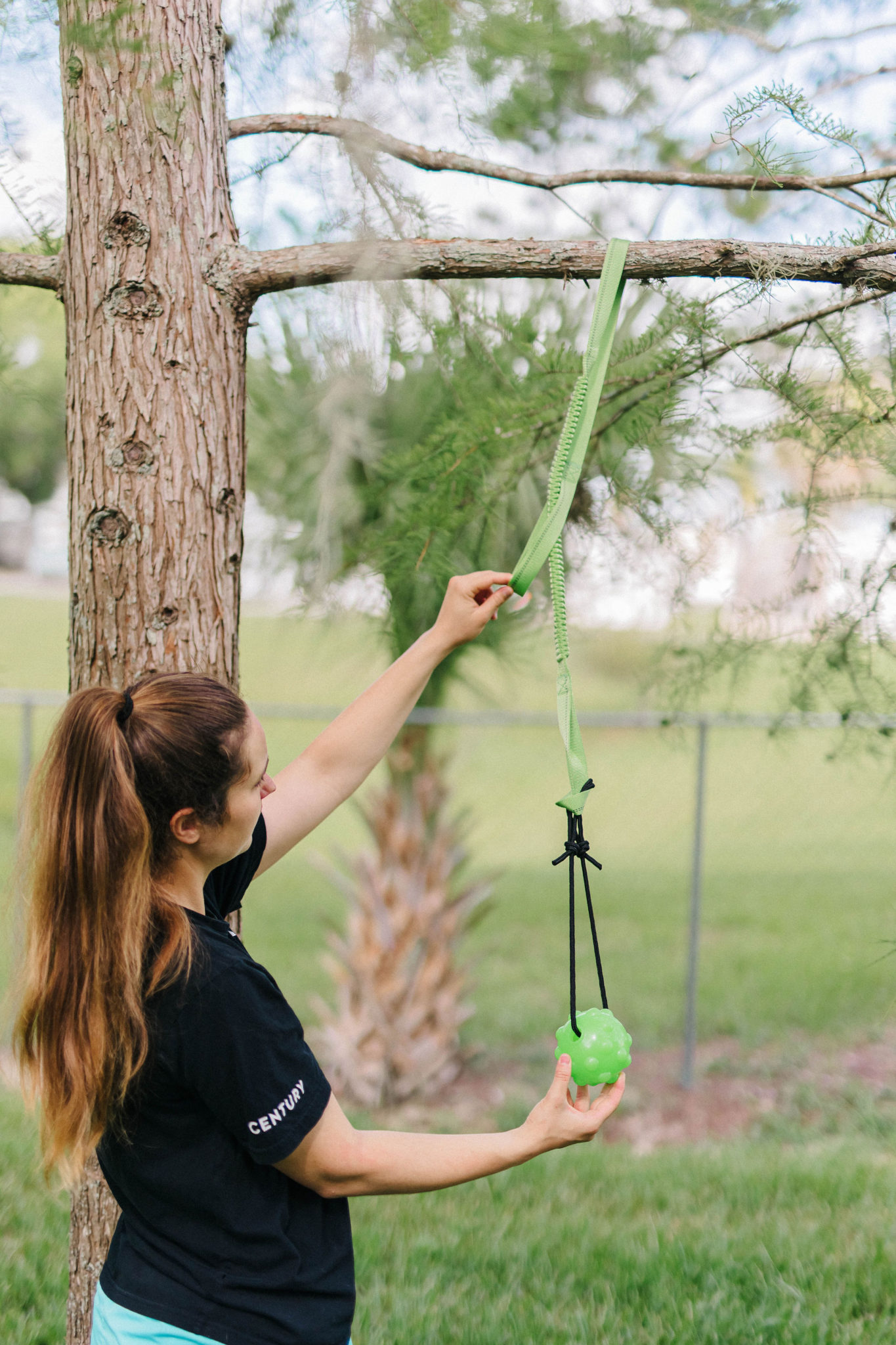 Jolly Pets Tree Tugger Outdoor Dog Toy Review