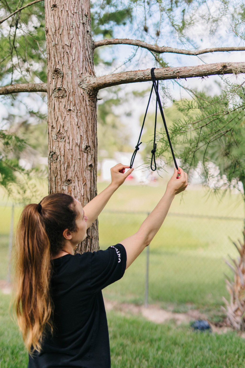 Jolly Pets Tree Tugger Outdoor Dog Toy Review