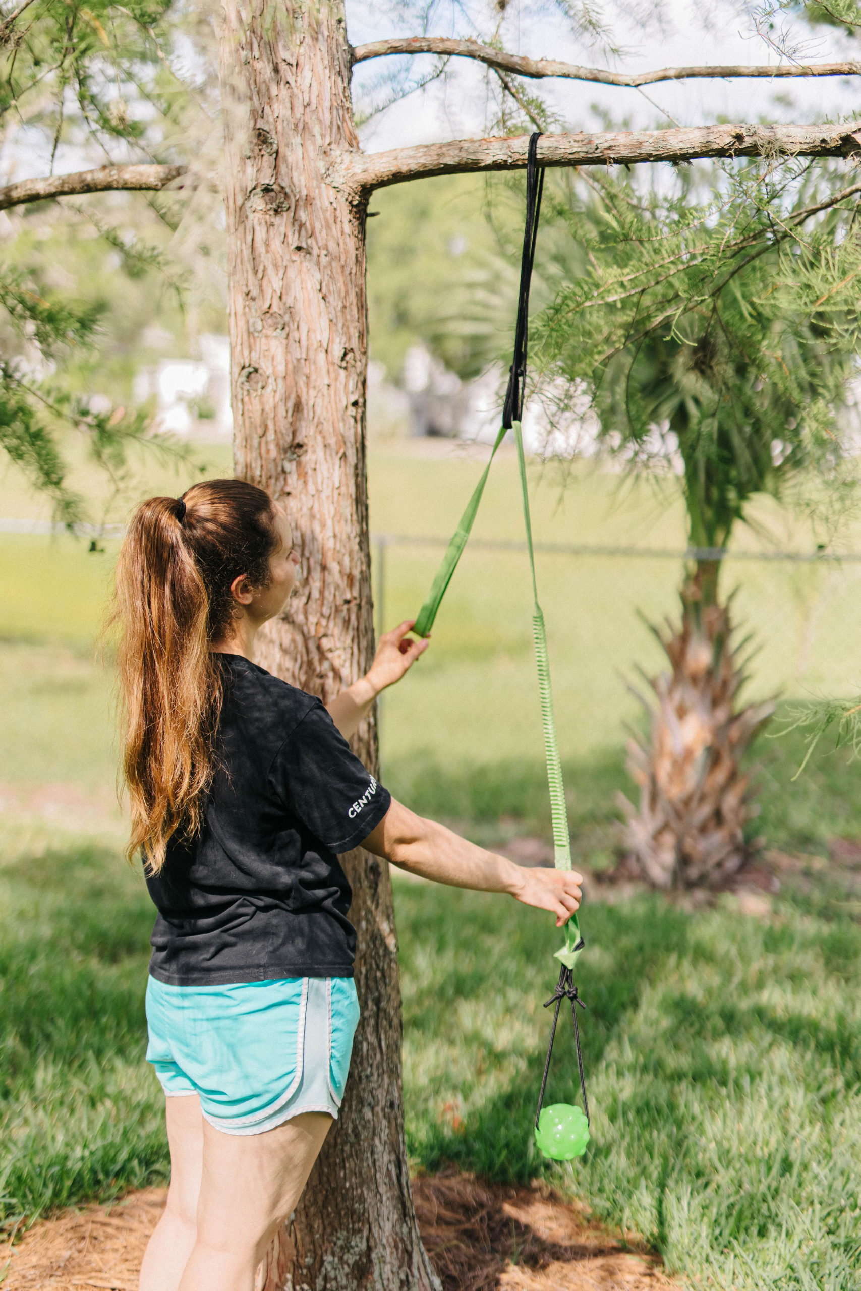 Jolly Pets Tree Tugger Outdoor Dog Toy Review