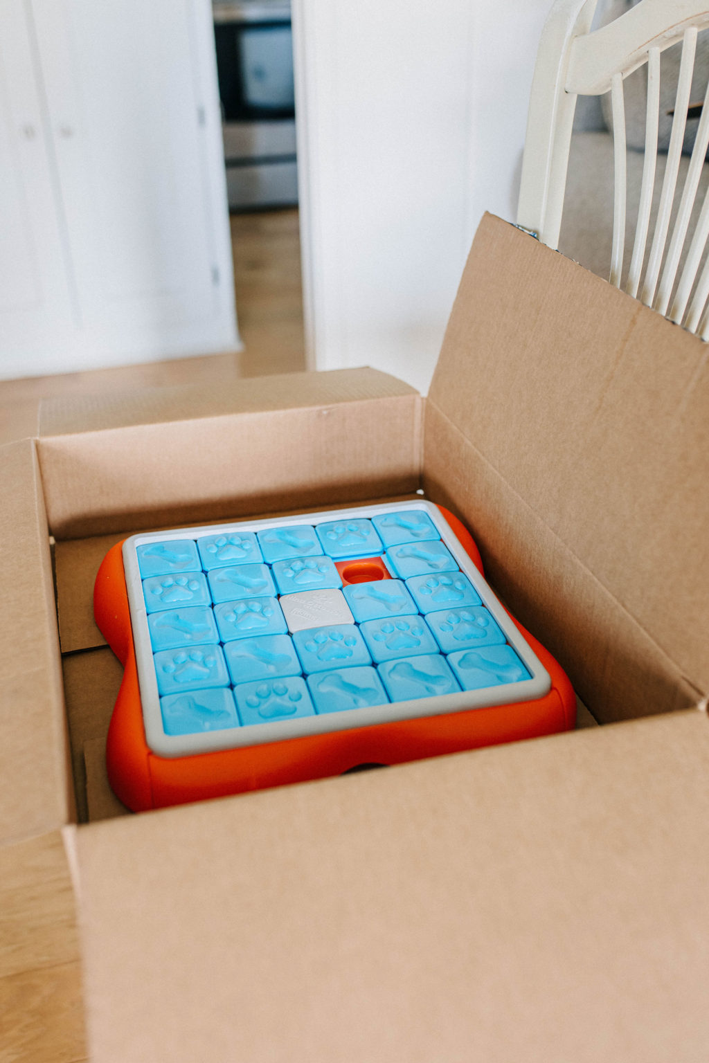 3 Ways To Create Advanced Dog Puzzles