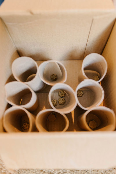 3 DIY Puzzle Toys For Dogs