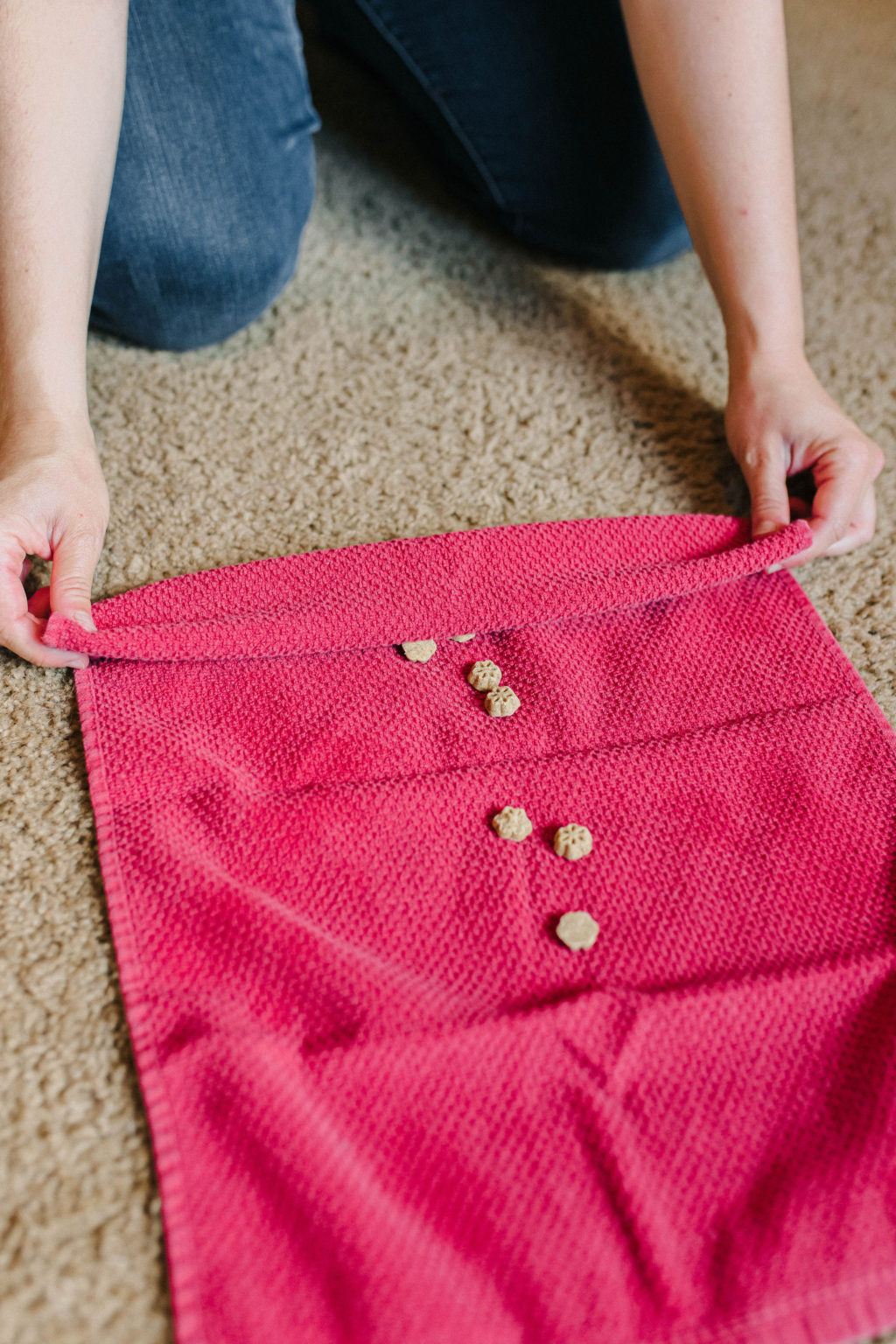 3 DIY Puzzle Toys For Dogs
