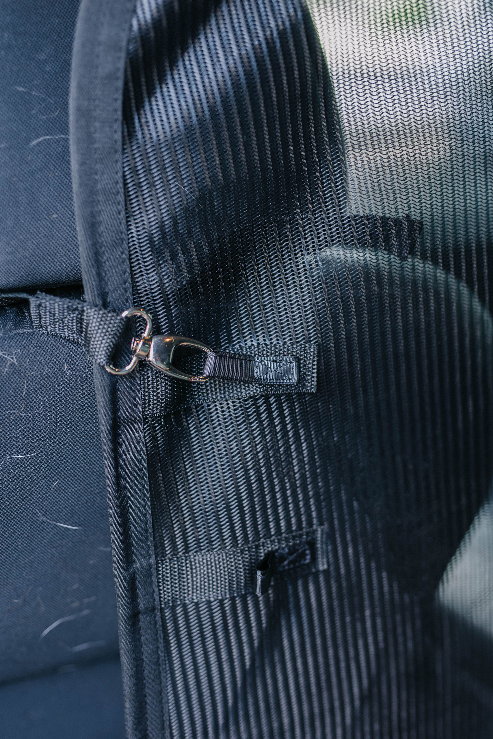 4 Dog Travel Accessories For Traveling With Large Dogs