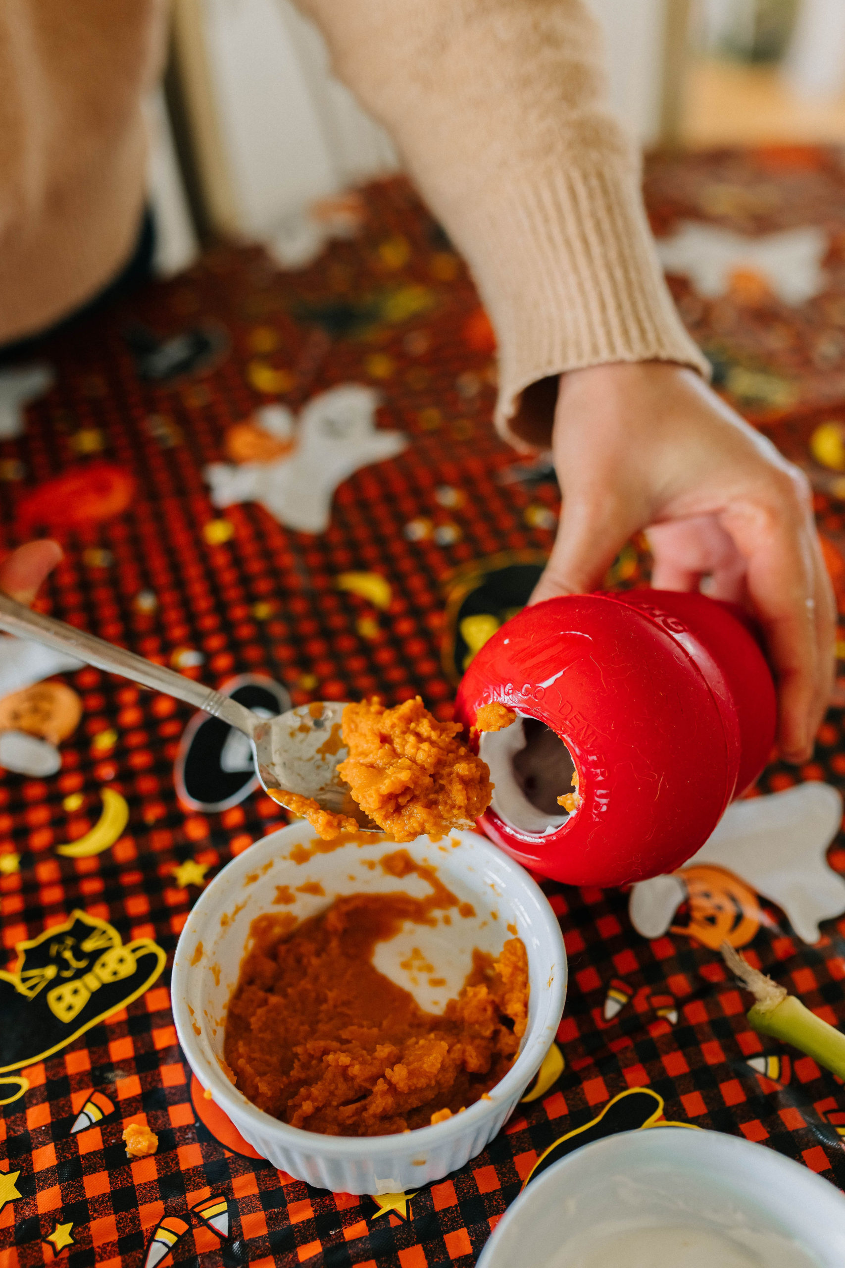 KONG Filling Idea: Halloween Dog Treat Recipe – Sparkles and Sunshine Blog