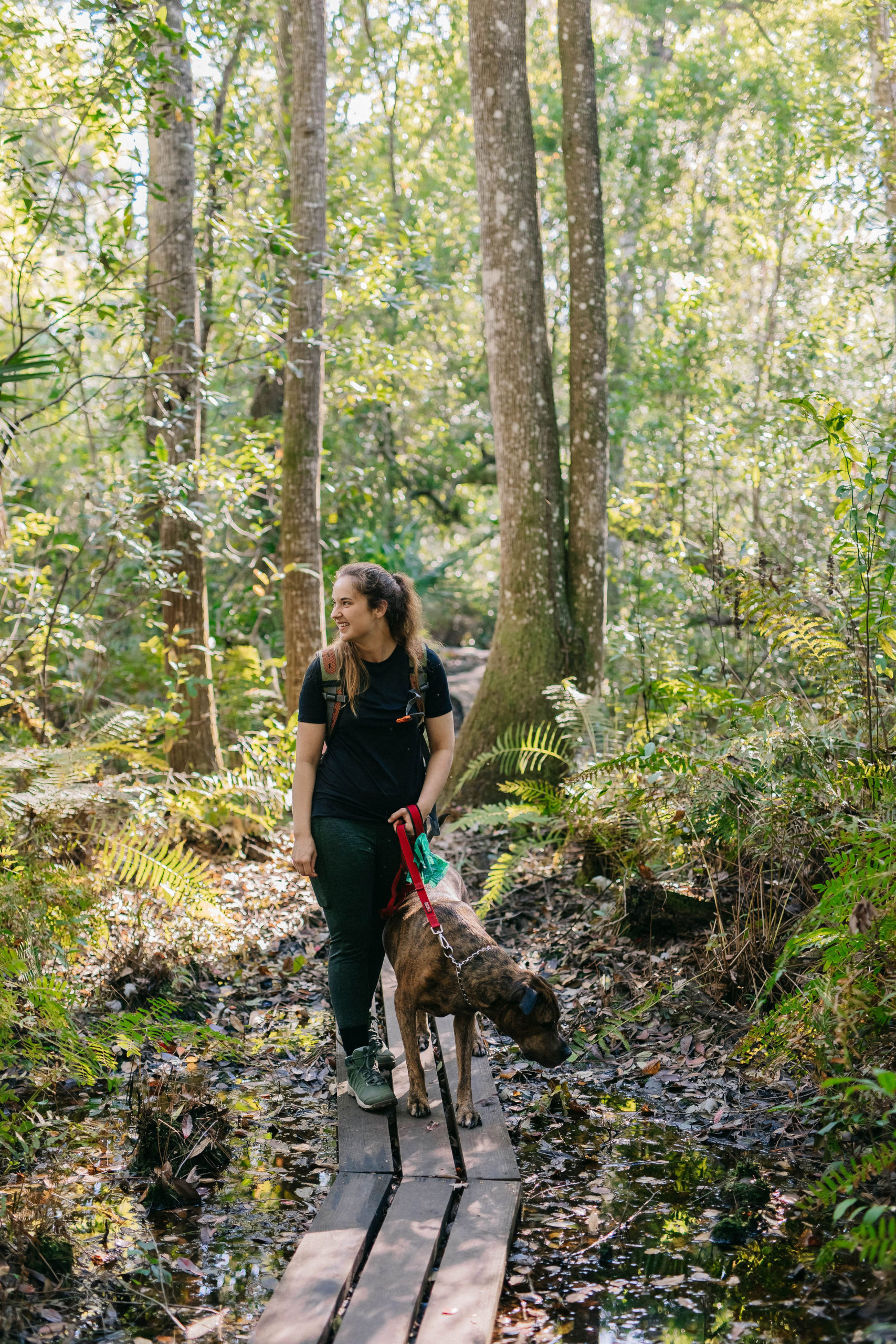 How To Prepare For A Dog-Friendly Hike In Florida