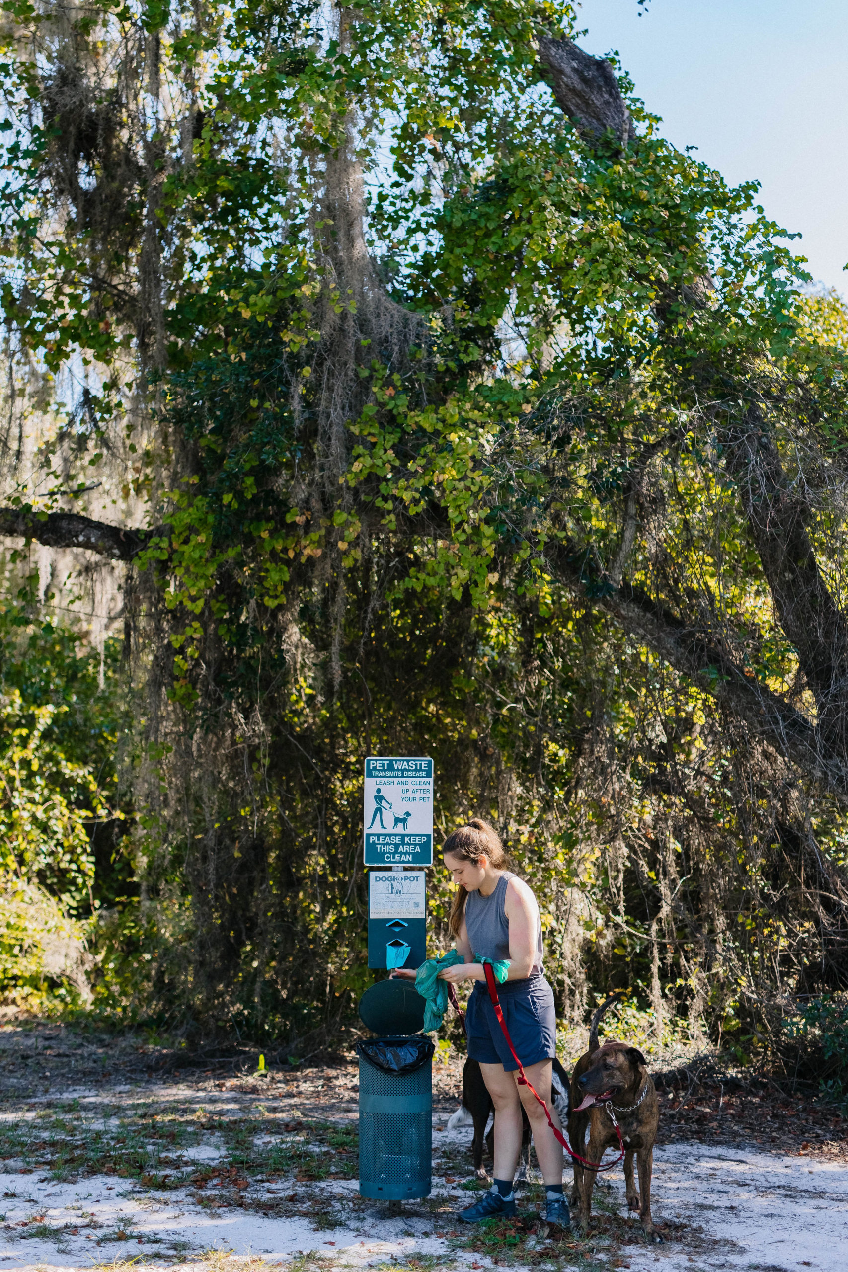 How To Prepare For A Dog-Friendly Hike In Florida