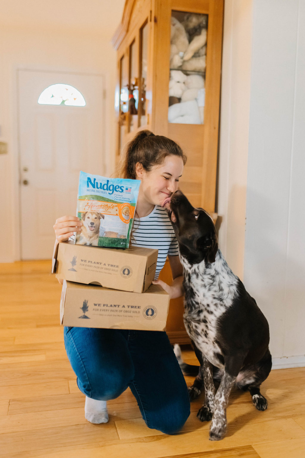 3 Easy Scenting Games For Dogs