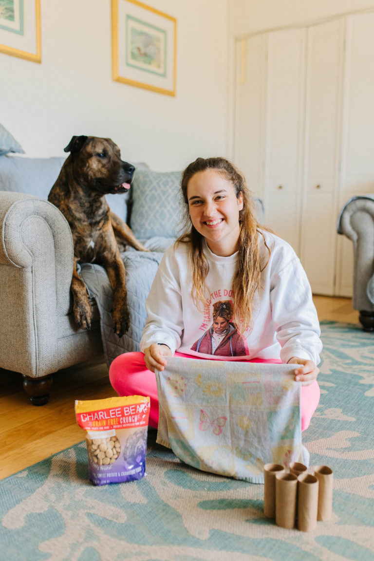 3 Dog Enrichment Activities Using Toilet Paper Rolls