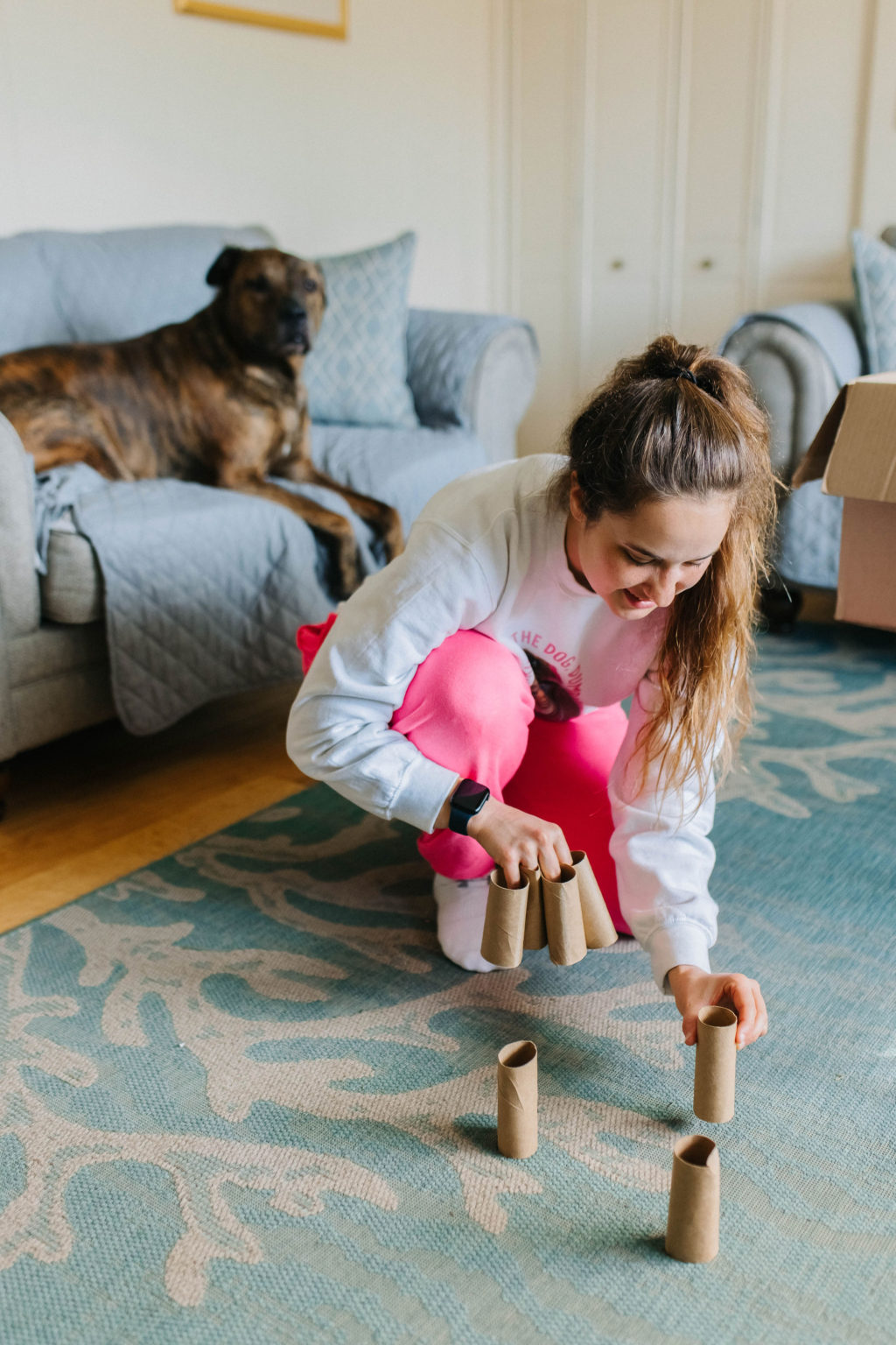 3 Dog Enrichment Activities Using Toilet Paper Rolls