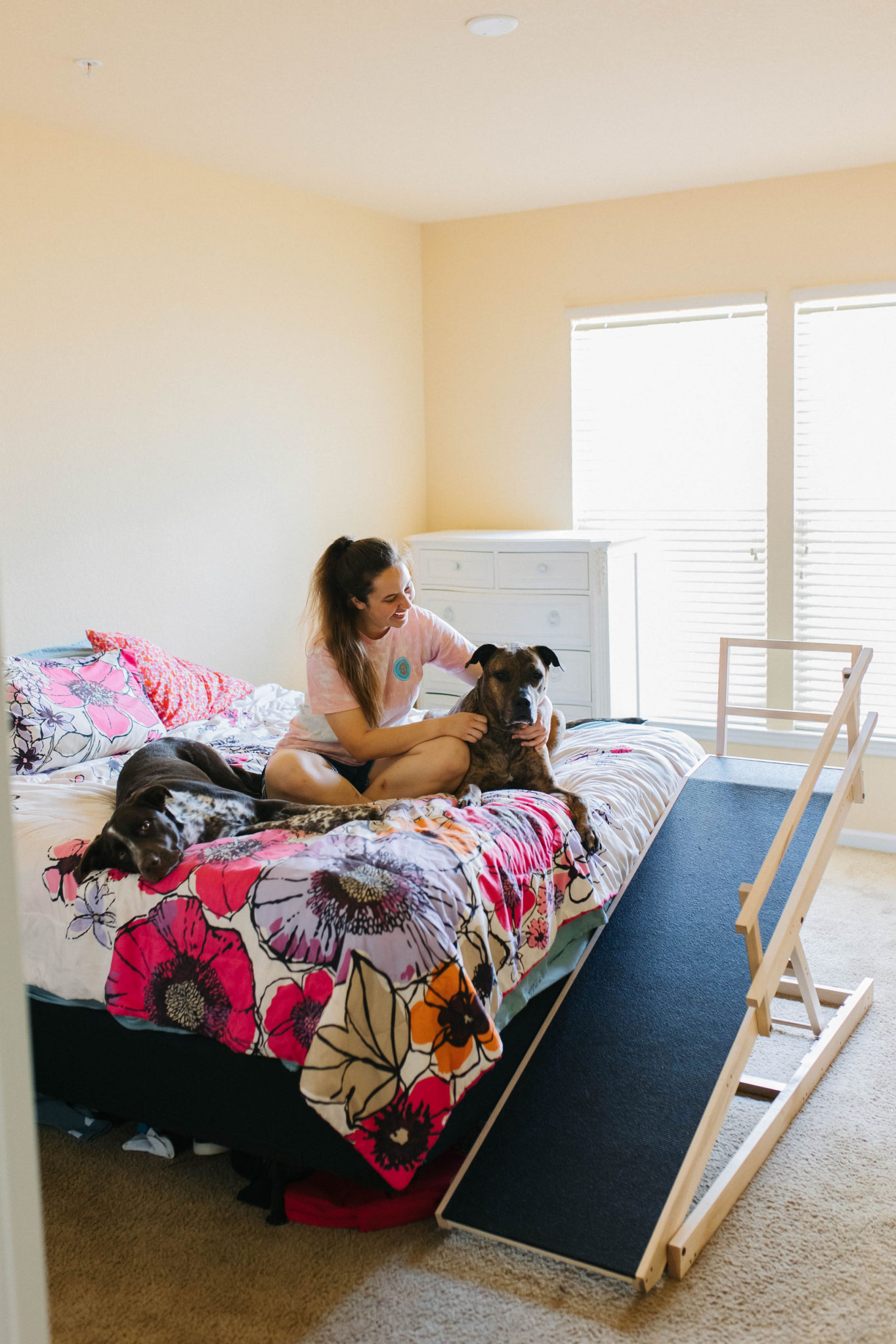 Best Dog Bed Ramp: DoggoRamps Large Dog Bed Ramp – Sparkles and ...