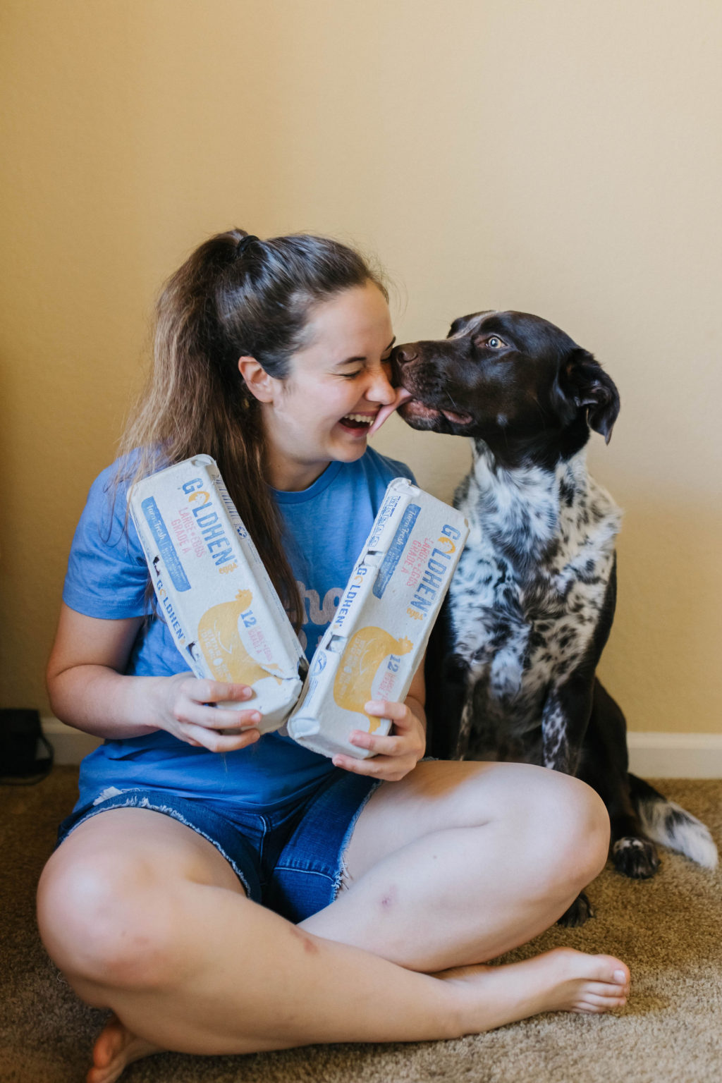 4 DIY enrichment Activities For Dogs Using Egg Cartons