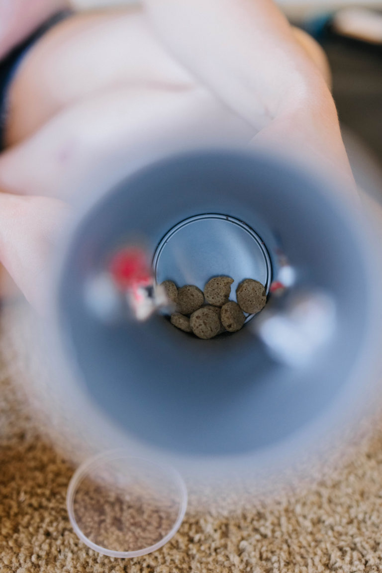 3 DIY Dog Treat Dispensers