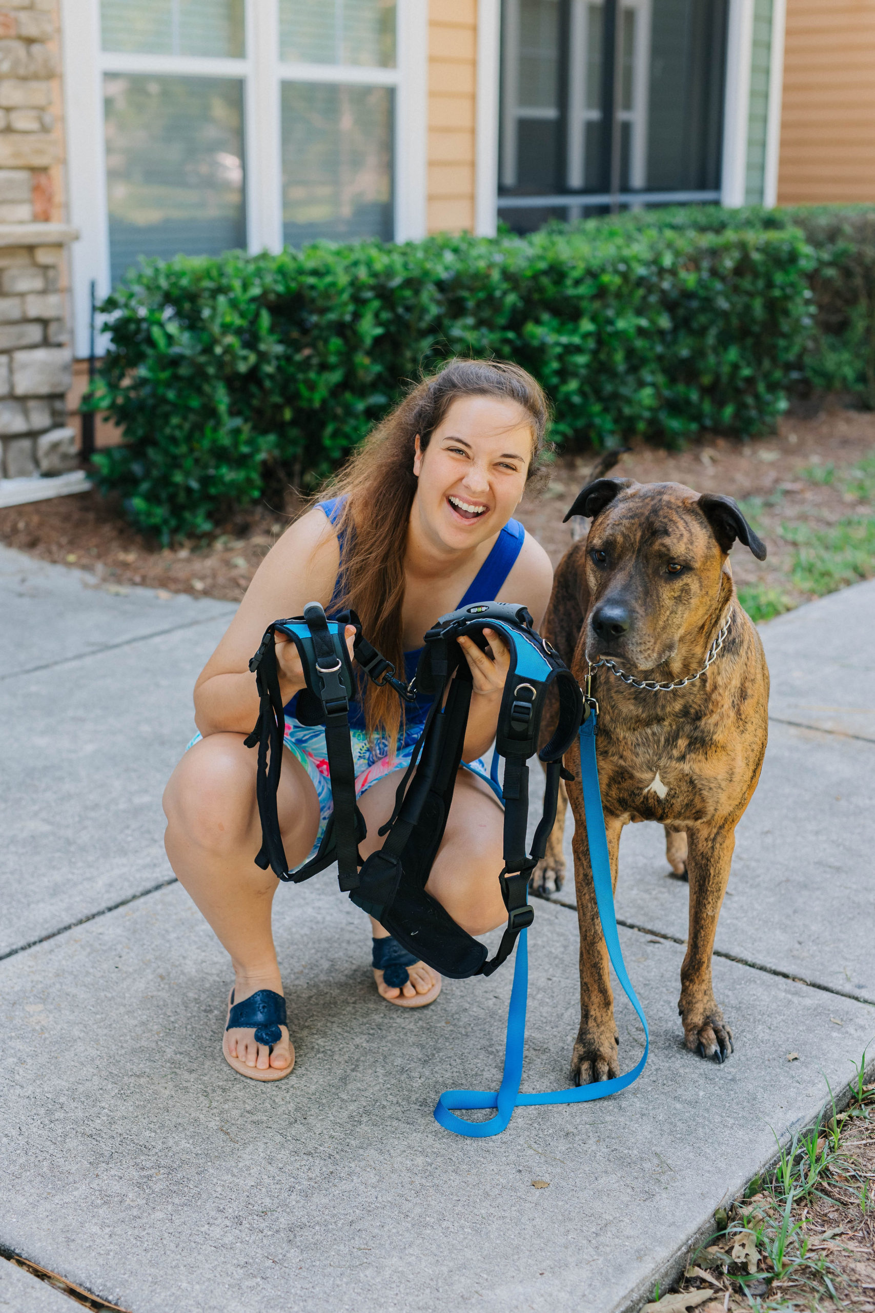 TPLO Surgery Dog Recovery Essential: Help ‘Em Up Dog Harness