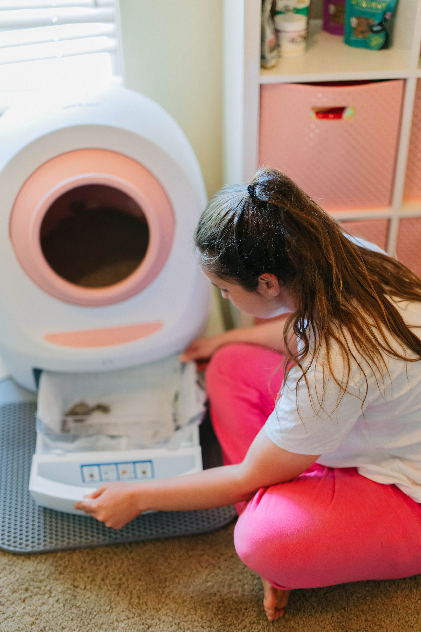 Leo’s Loo Too Review: Electric Smart Cat Litter Box