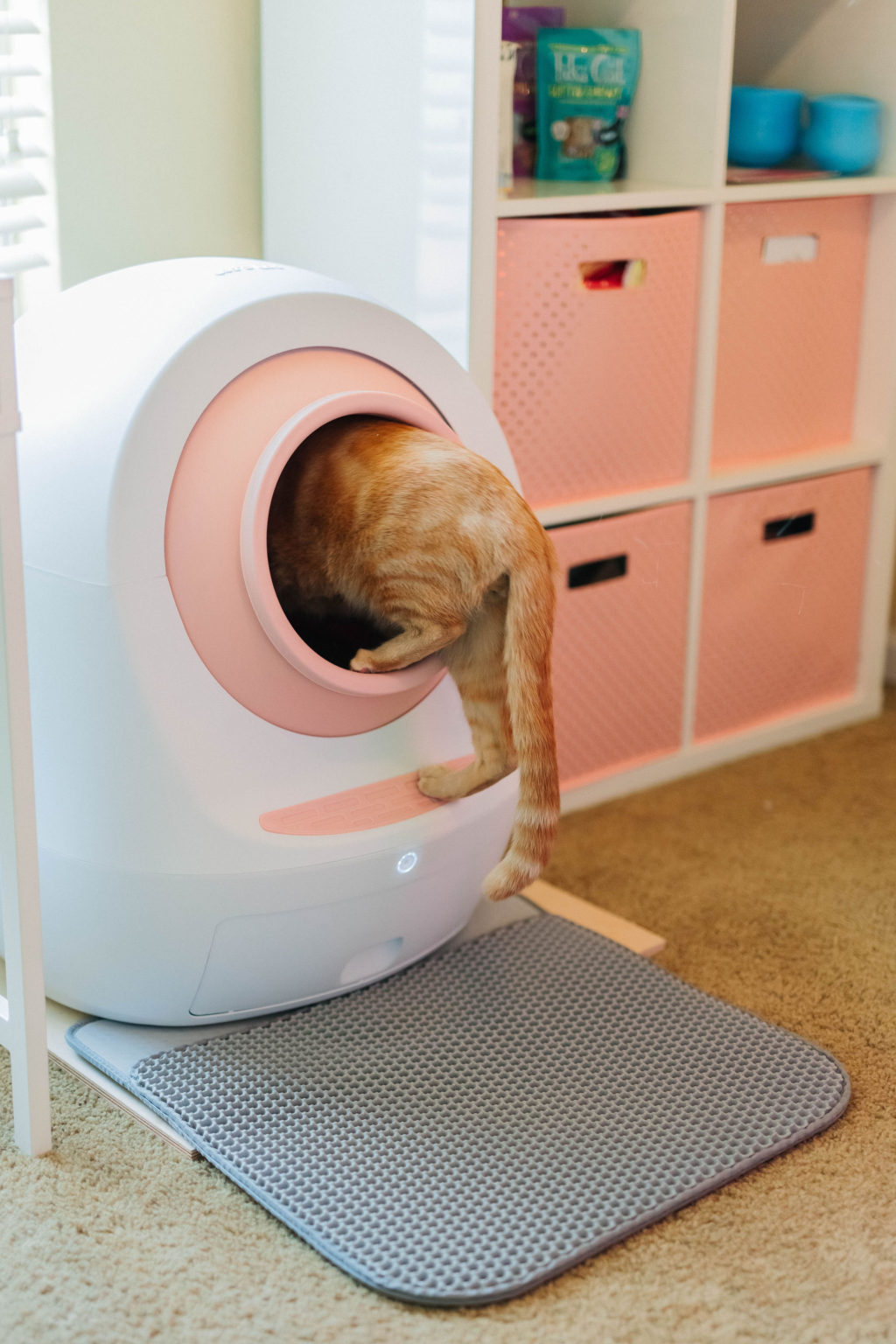 Leo’s Loo Too Review: Electric Smart Cat Litter Box