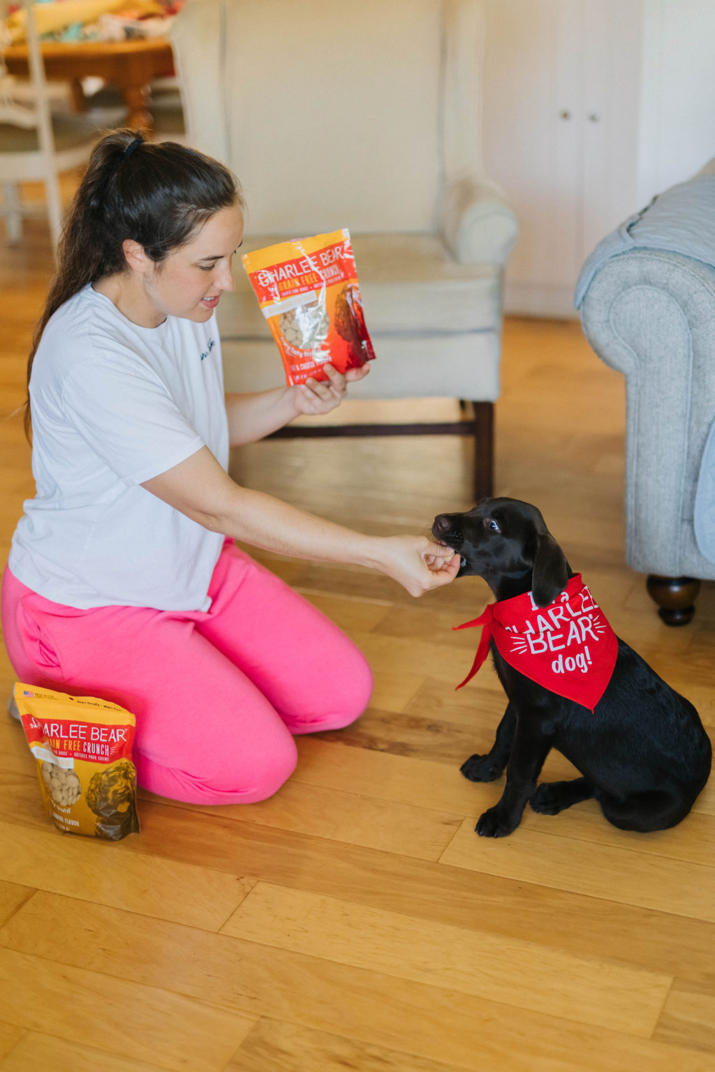 3 Basic Obedience Puppy Training Commands