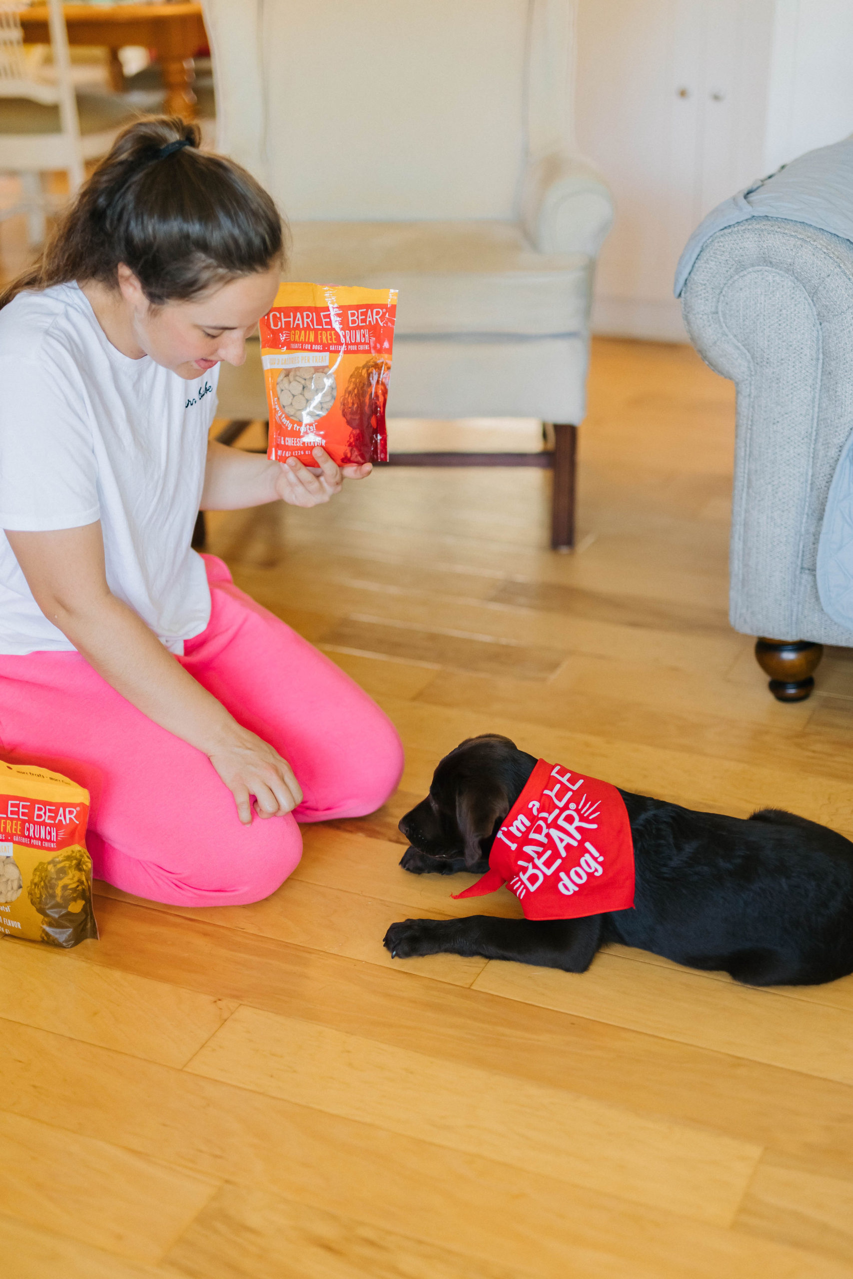 3 Basic Obedience Puppy Training Commands