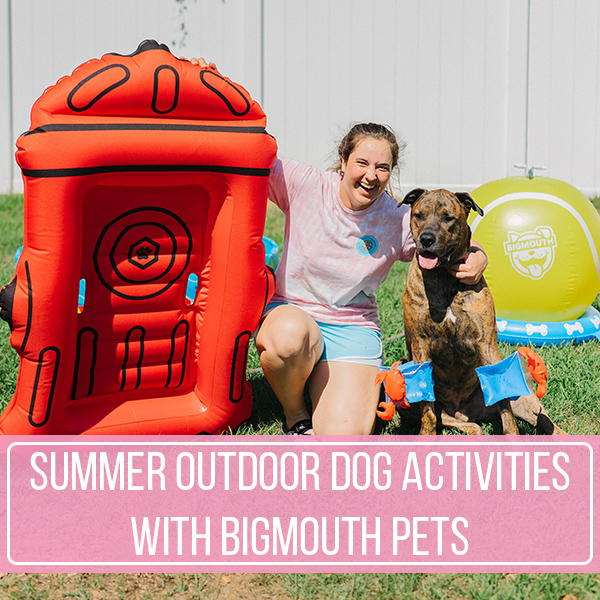 Sparkles and Sunshine Blog