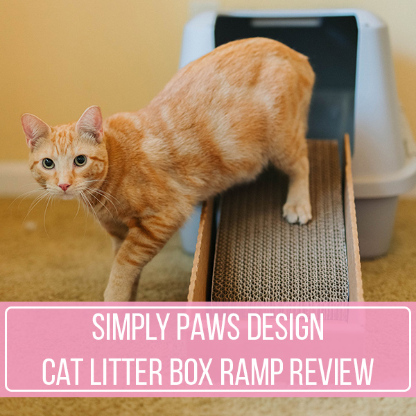 Sparkles and Sunshine Blog