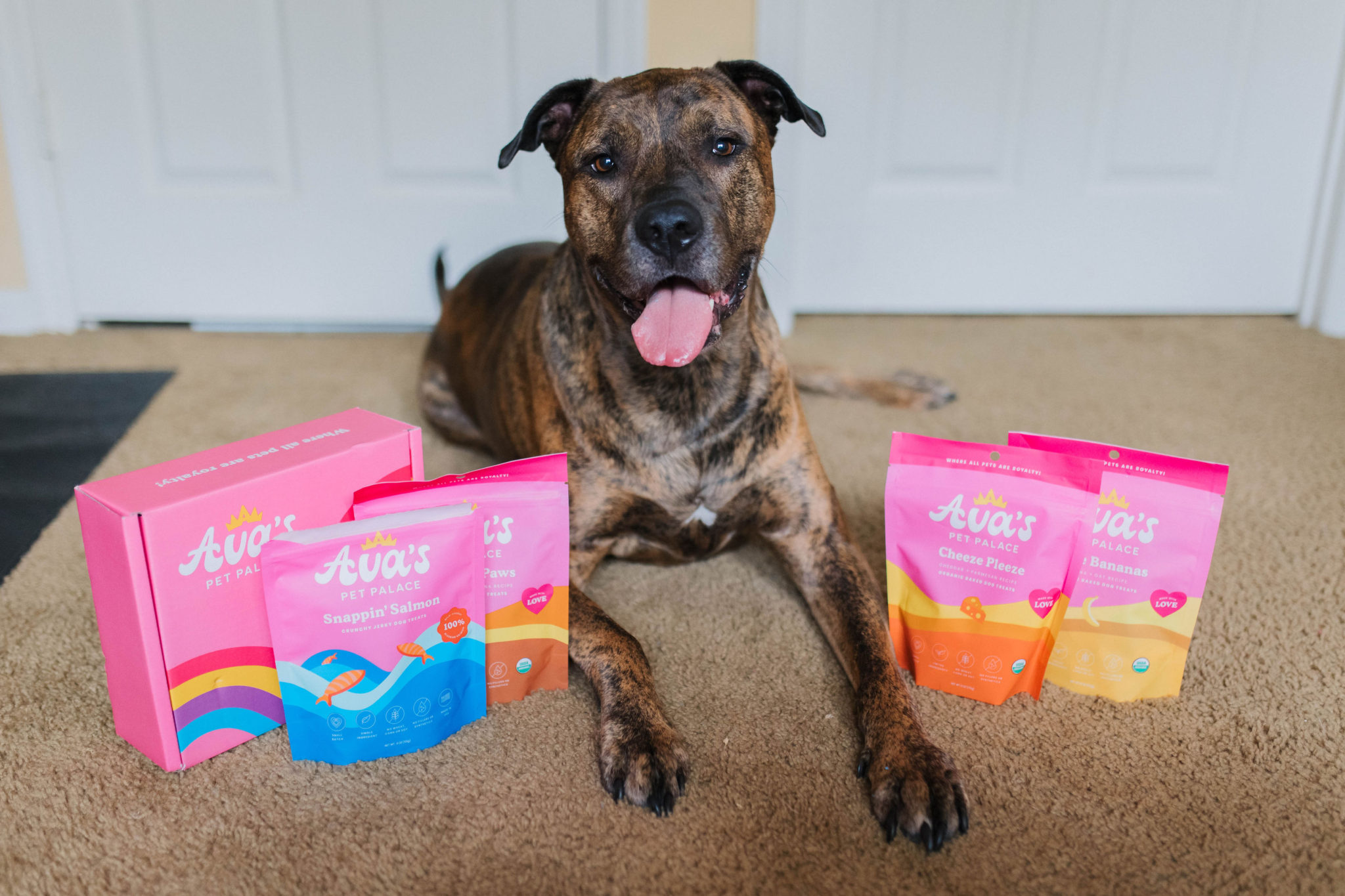 DIY Snuffle Mat For Dogs