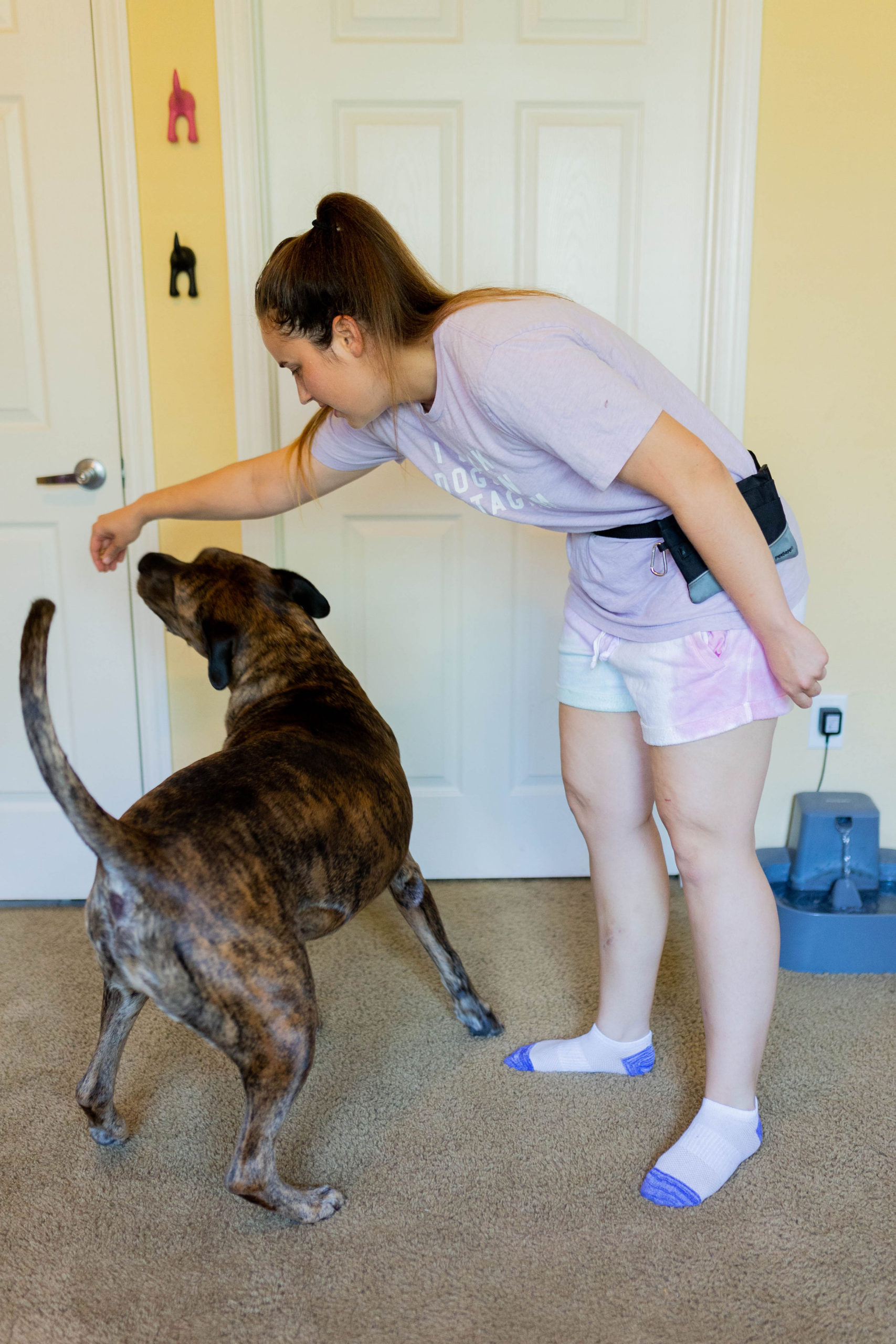 3 Easy Stretches For Dogs