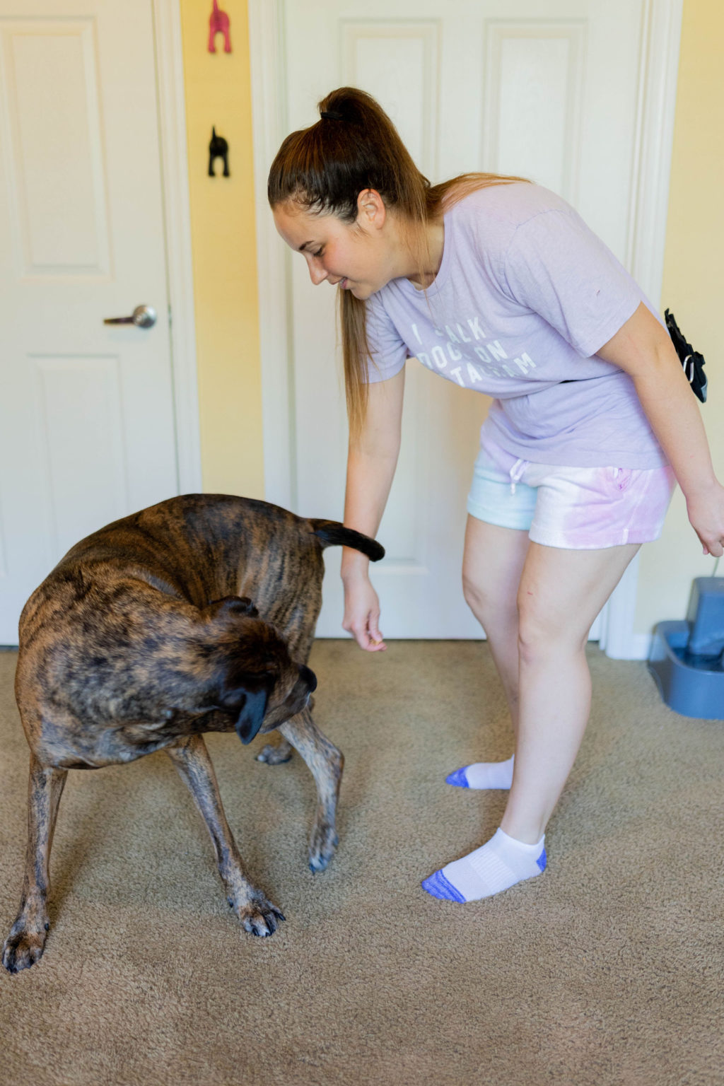 3 Easy Stretches For Dogs